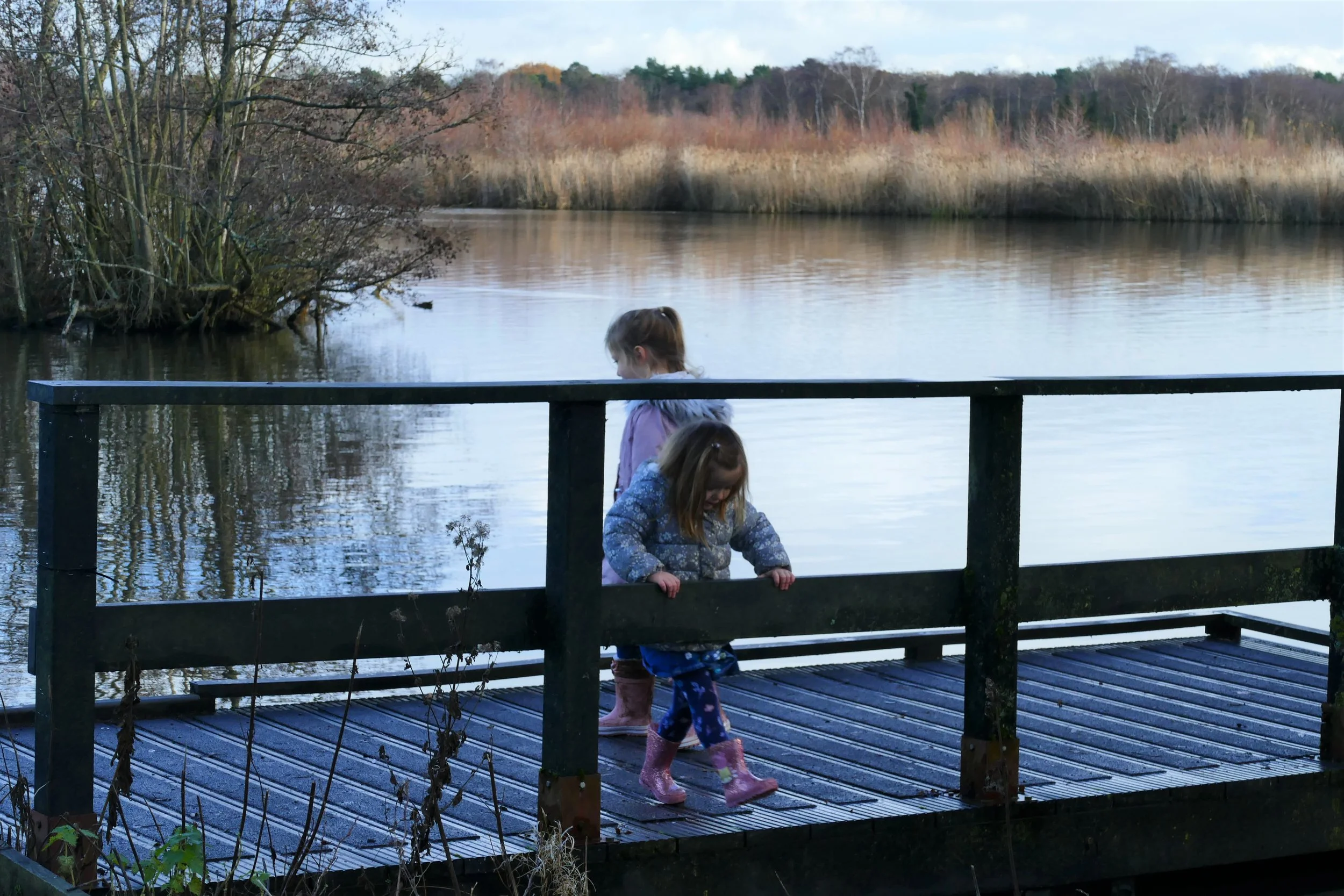 A circular walk for the whole family around Fleet Pond — The Ambling ...