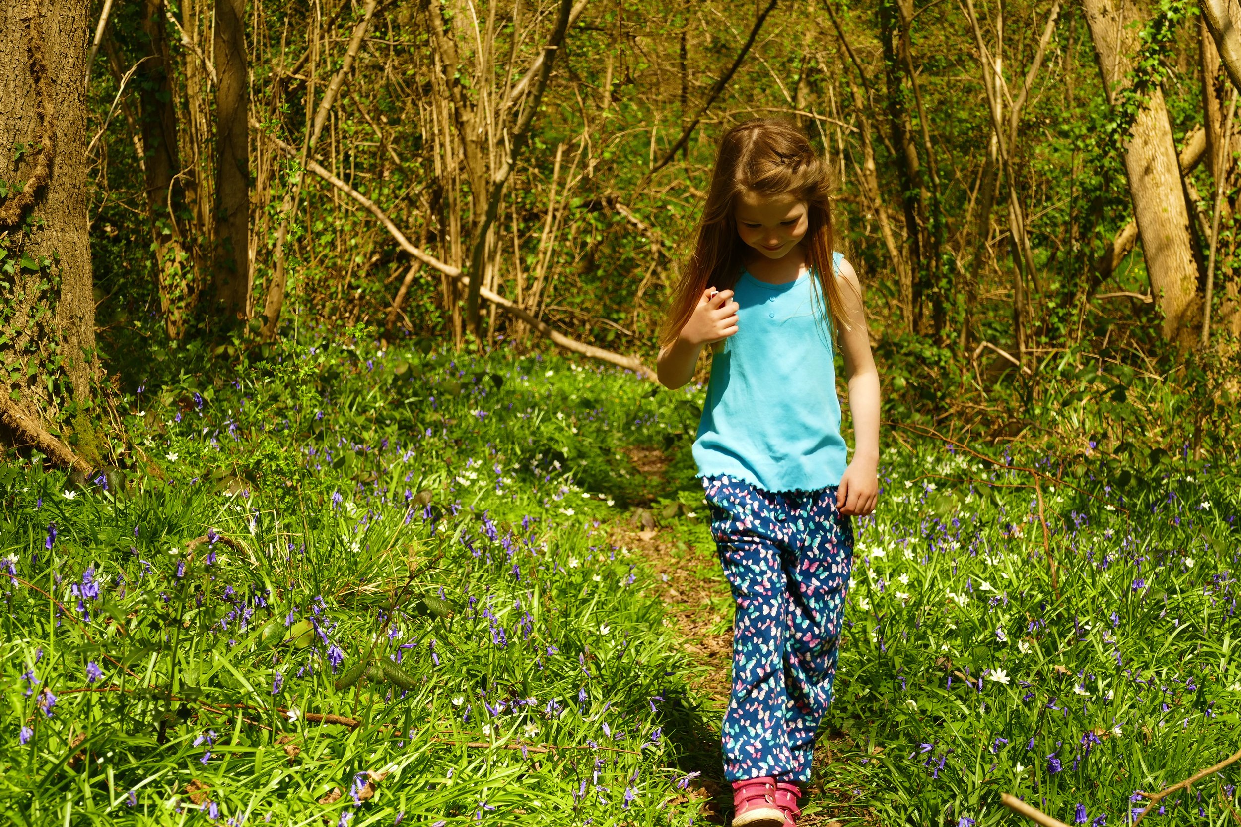 A walk for the whole family at River Hamble Country Park — The Ambling ...
