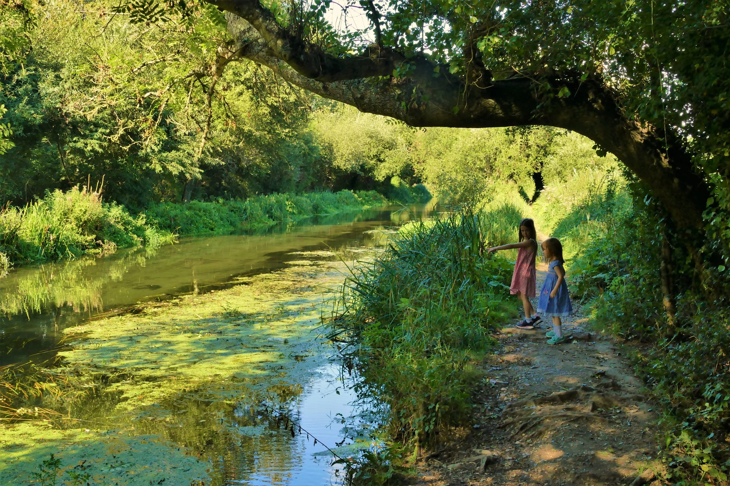 A walk for the whole family along The Otter Trail near Otterbourne ...
