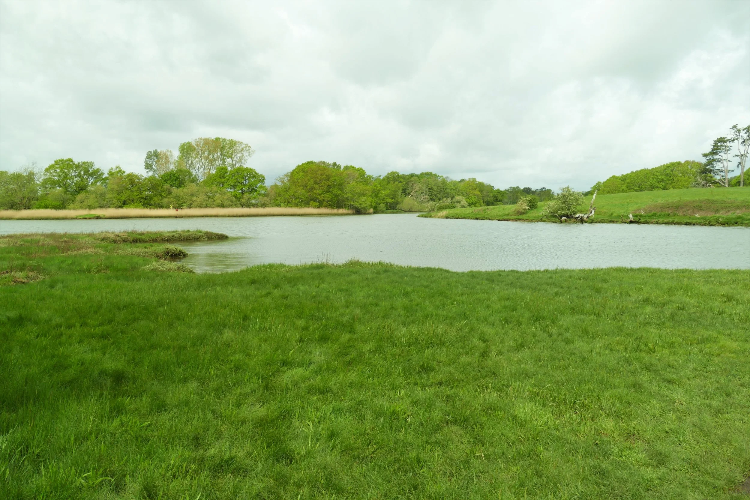 A walk for the whole family along Curbridge Nature Reserve to The Fairy ...