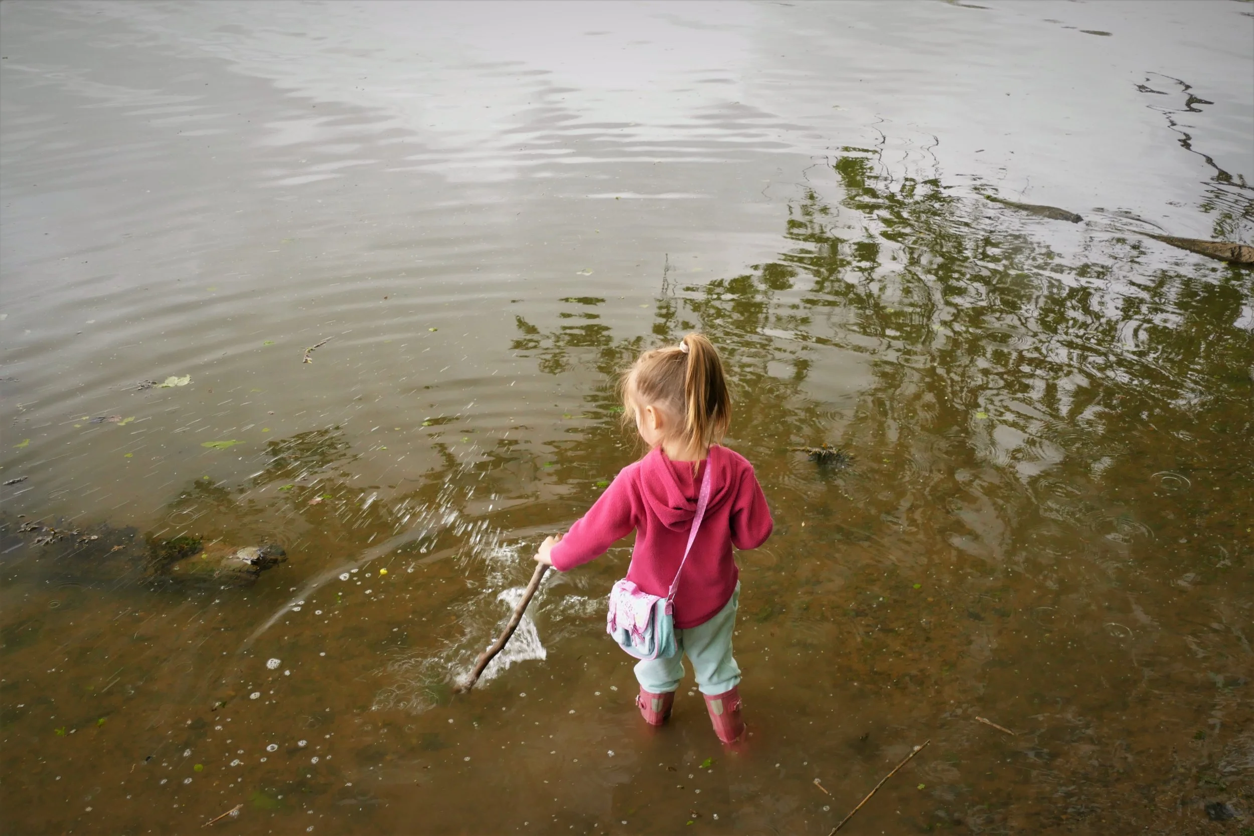 A walk for the whole family along Curbridge Nature Reserve to The Fairy ...