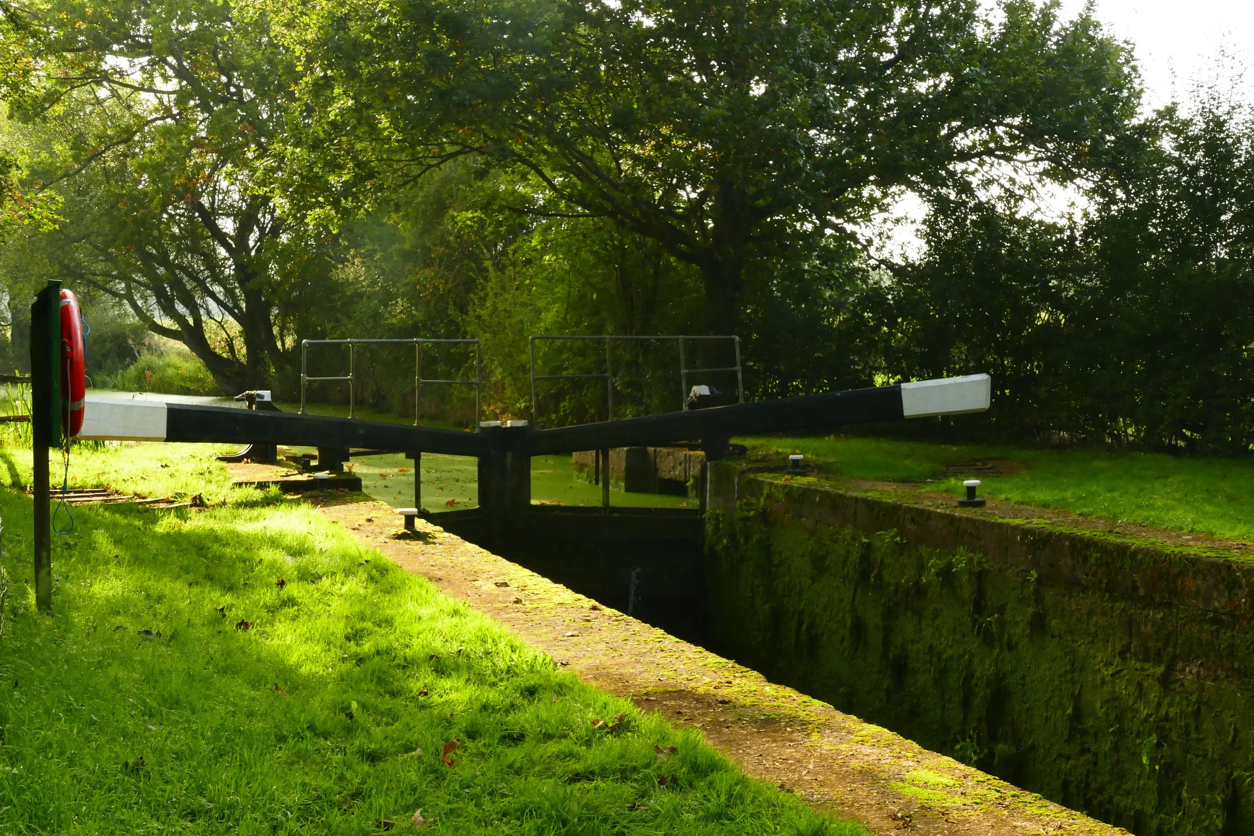 A walk for the whole family along The Wey and Arun Canal near Loxwood ...