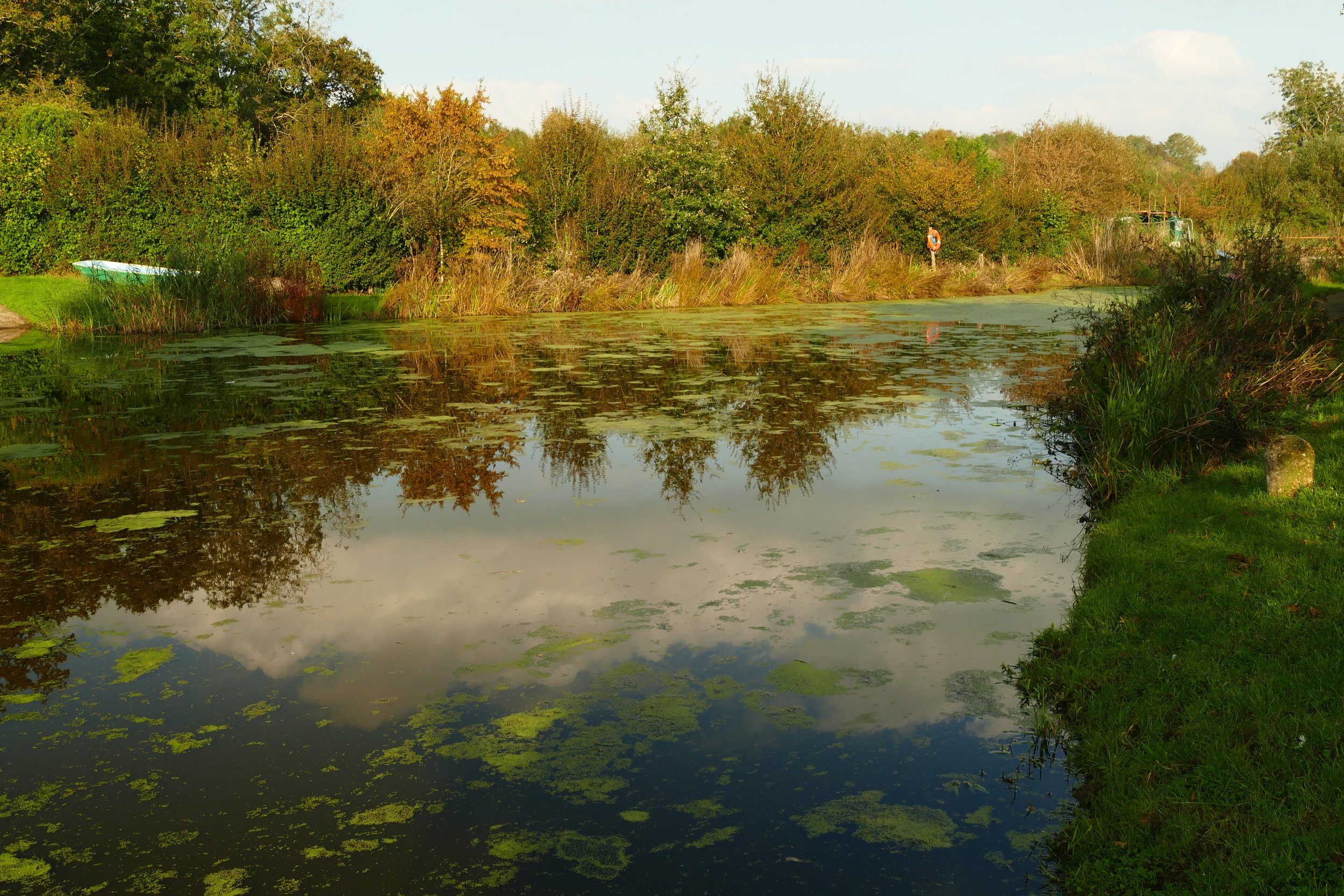 A walk for the whole family along The Wey and Arun Canal near Loxwood ...