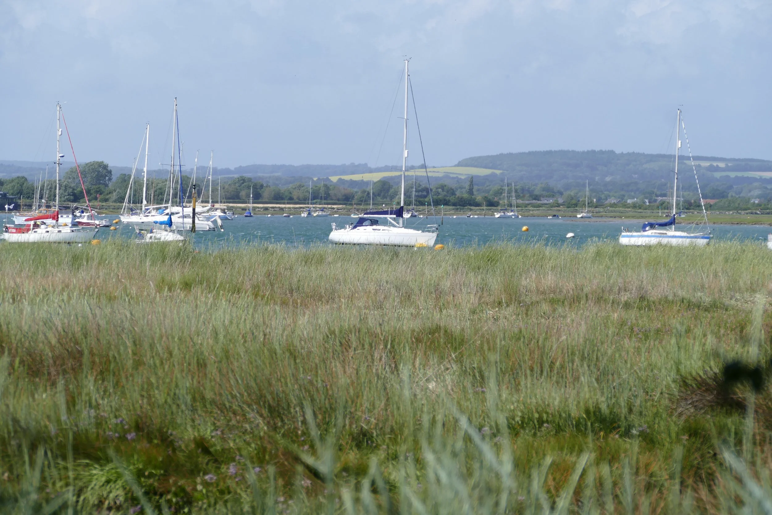 A walk for the whole family around Itchenor — The Ambling Path - Family ...