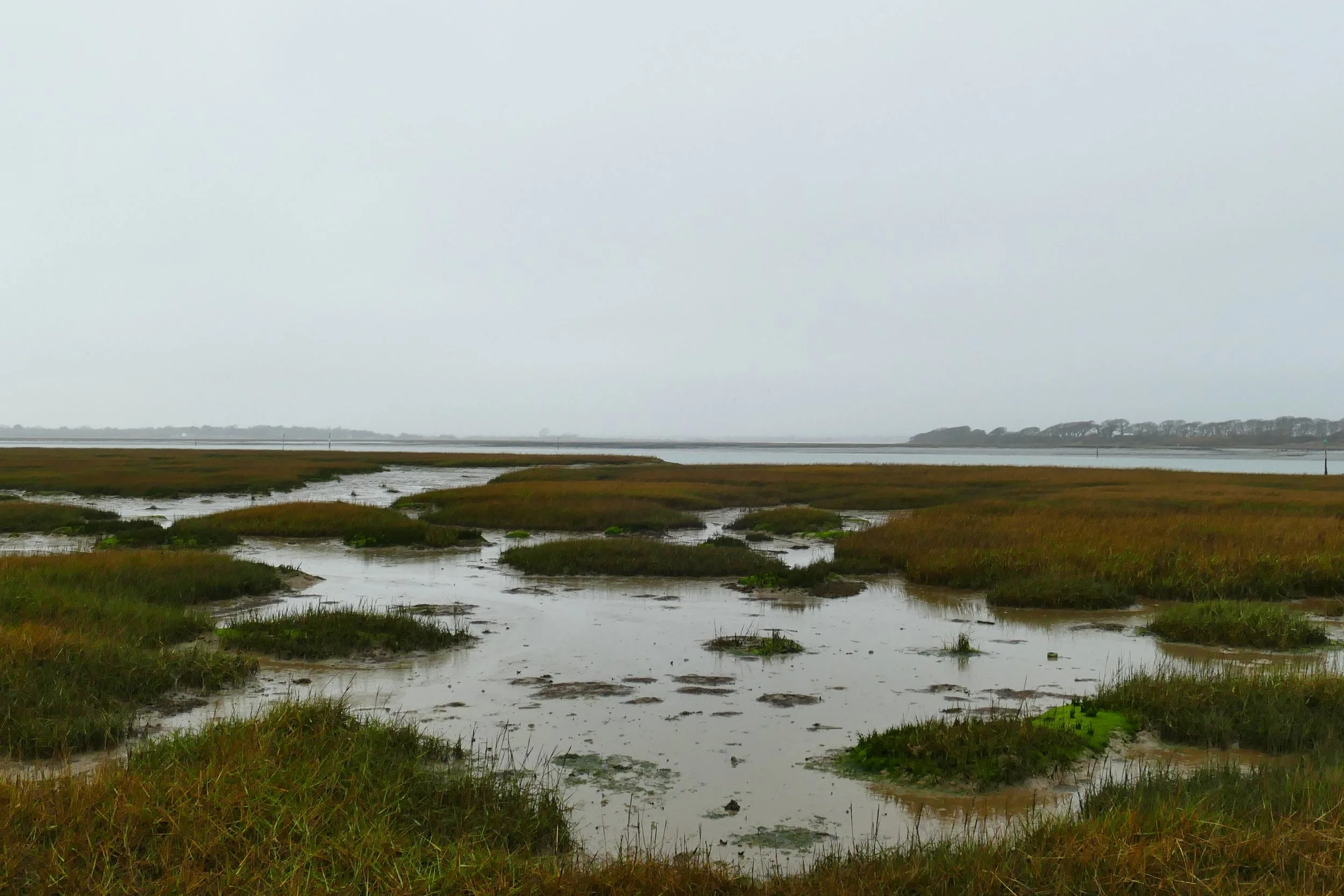 A walk for the whole family around Itchenor — The Ambling Path - Family ...