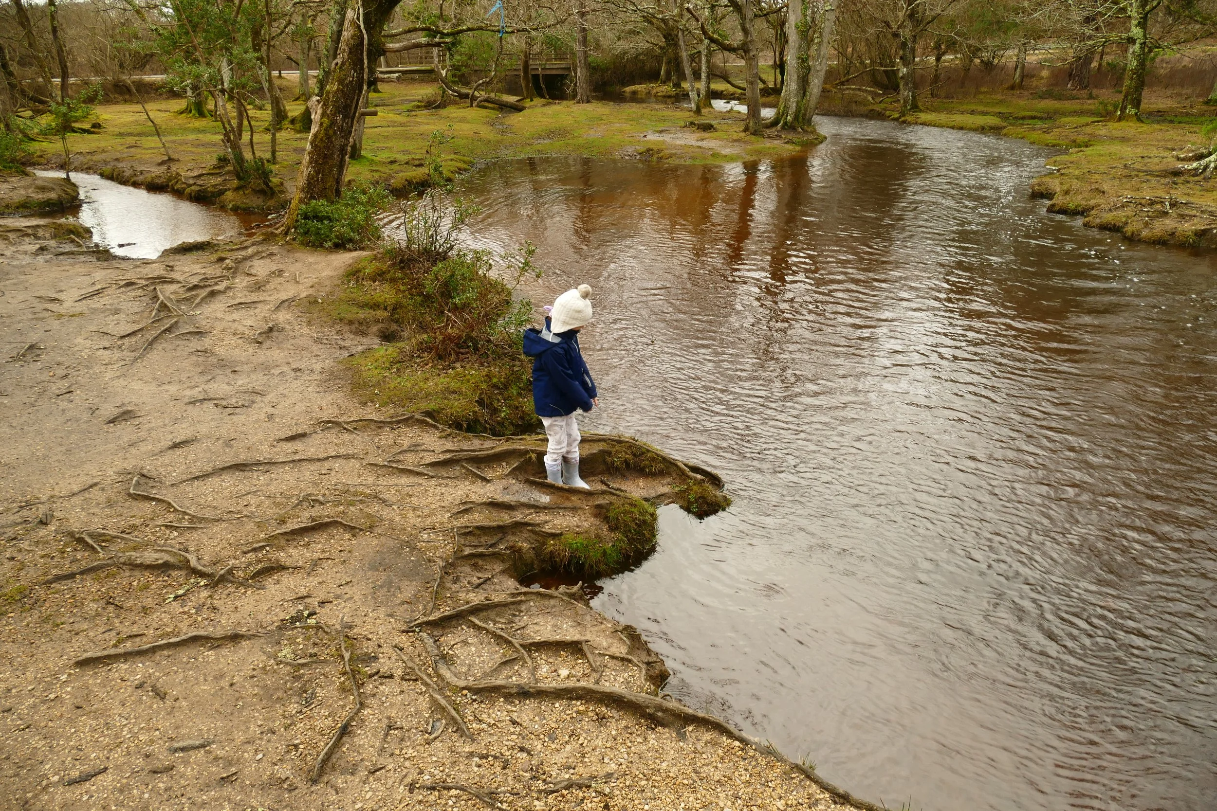 A walk for the whole family at Puttles Bridge — The Ambling Path ...