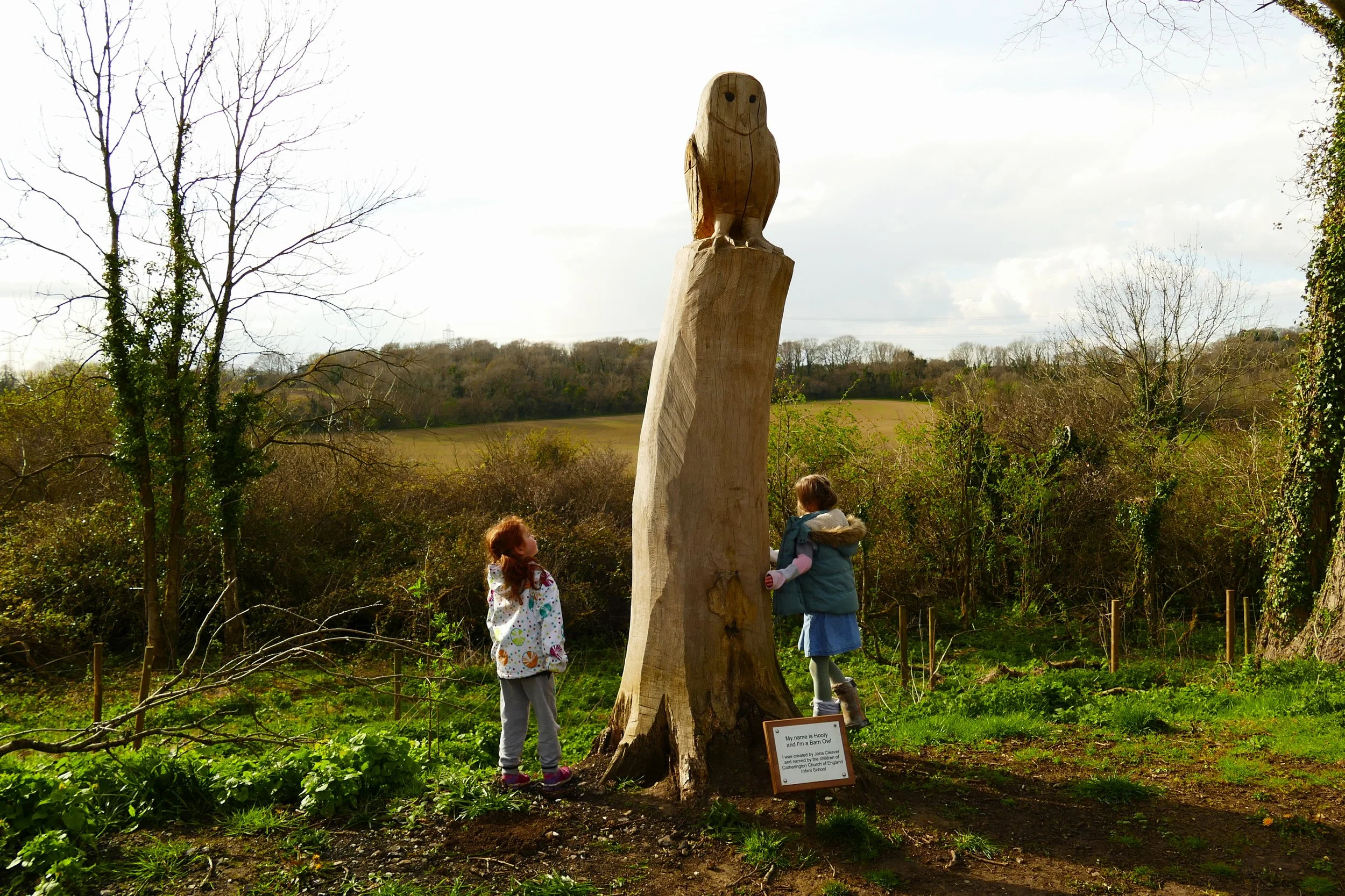 A walk for the whole family around Catherington Lith — The Ambling Path ...