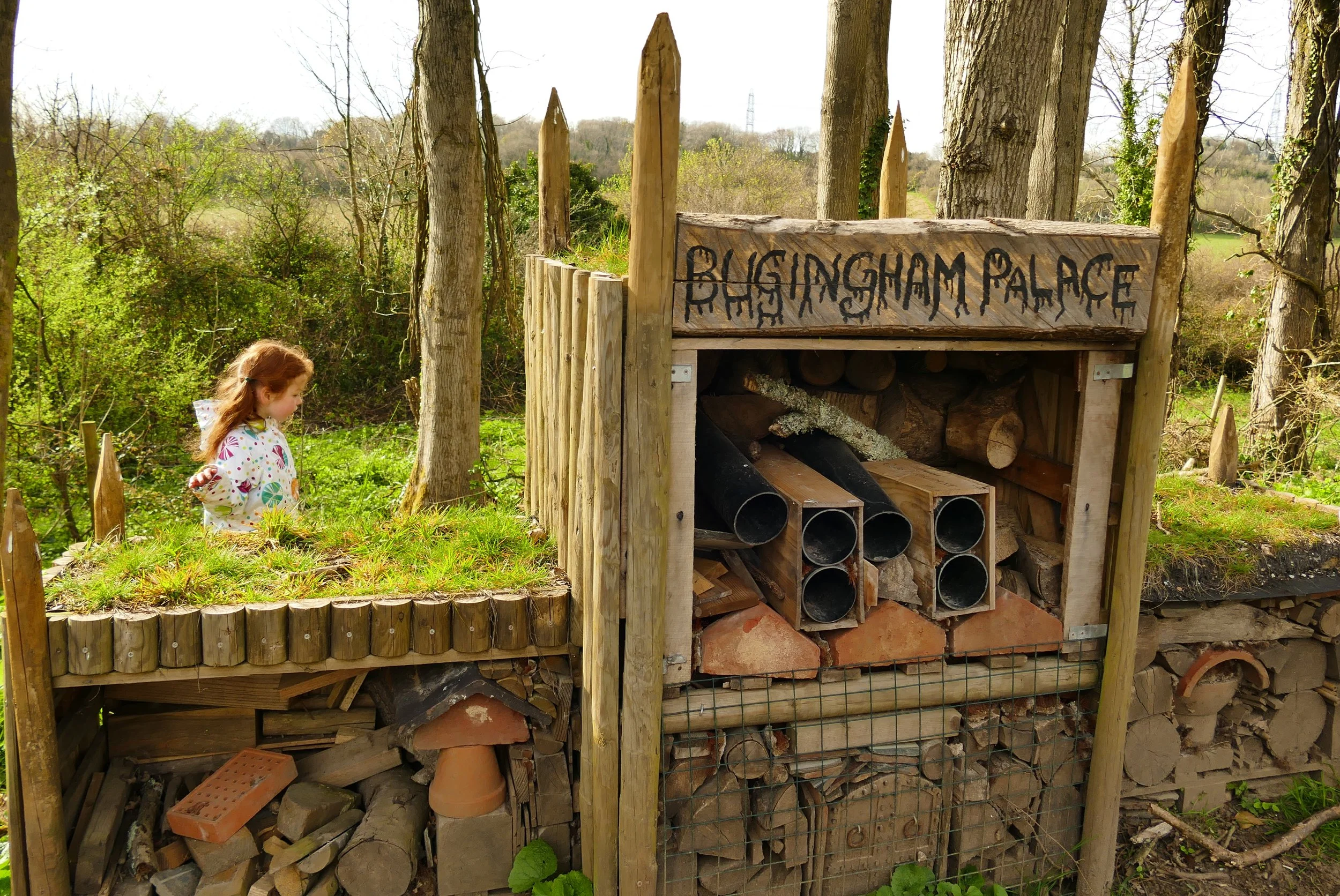 A walk for the whole family around Catherington Lith — The Ambling Path ...