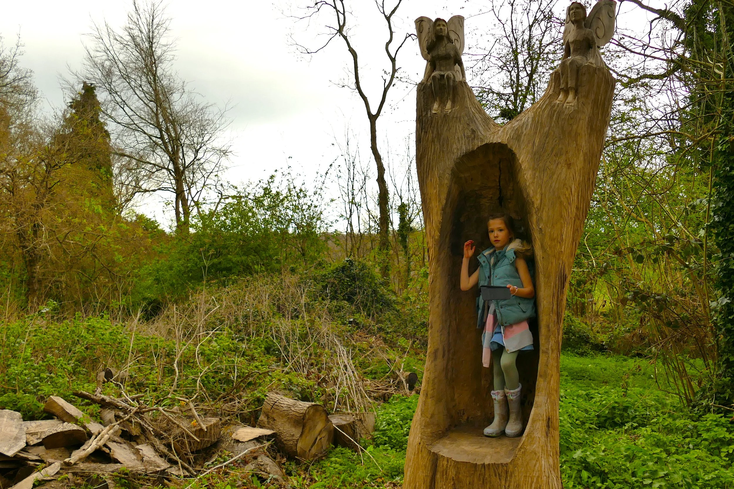 A walk for the whole family around Catherington Lith — The Ambling Path ...