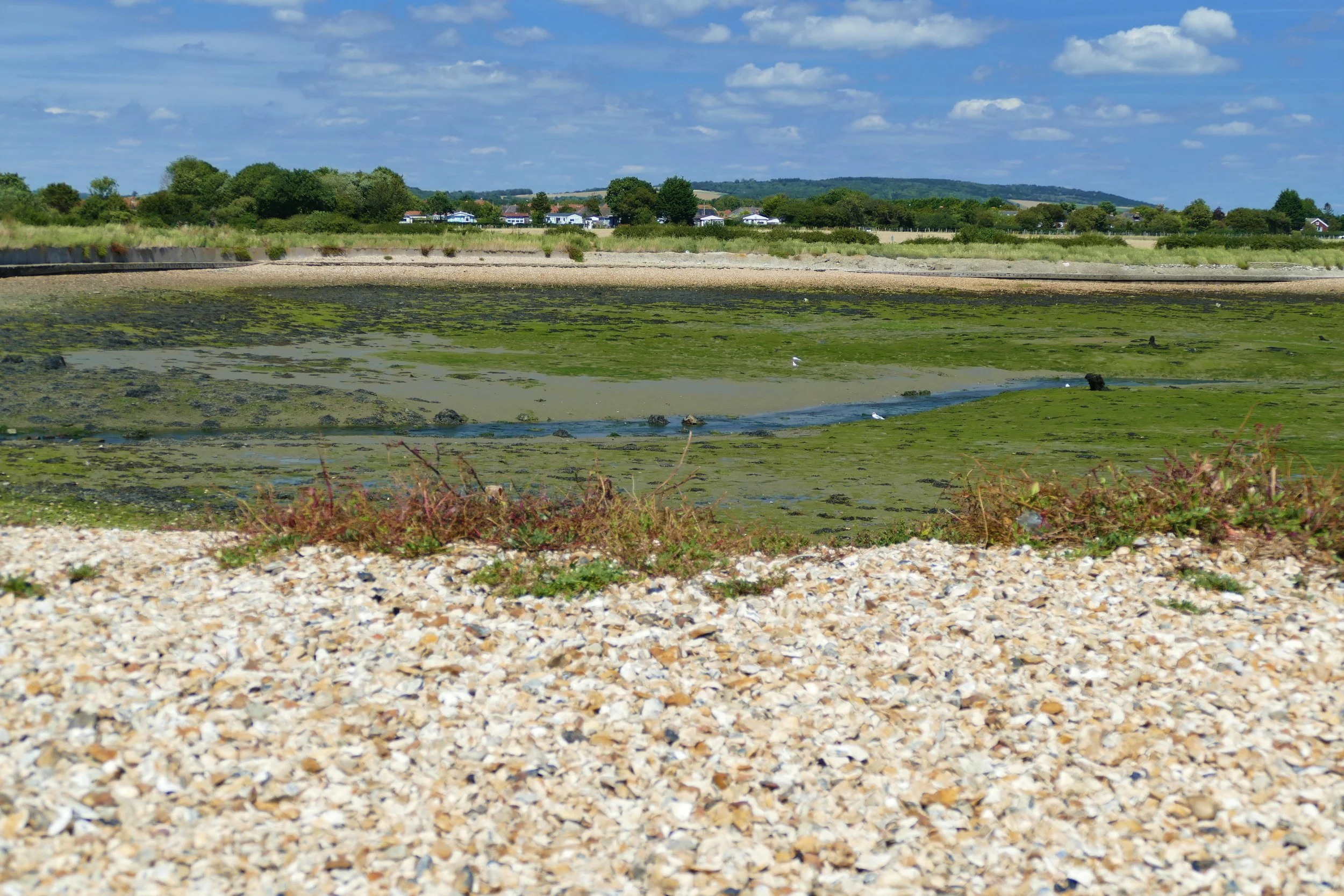 A walk for the whole family from Nutbourne in Chichester Harbour — The ...