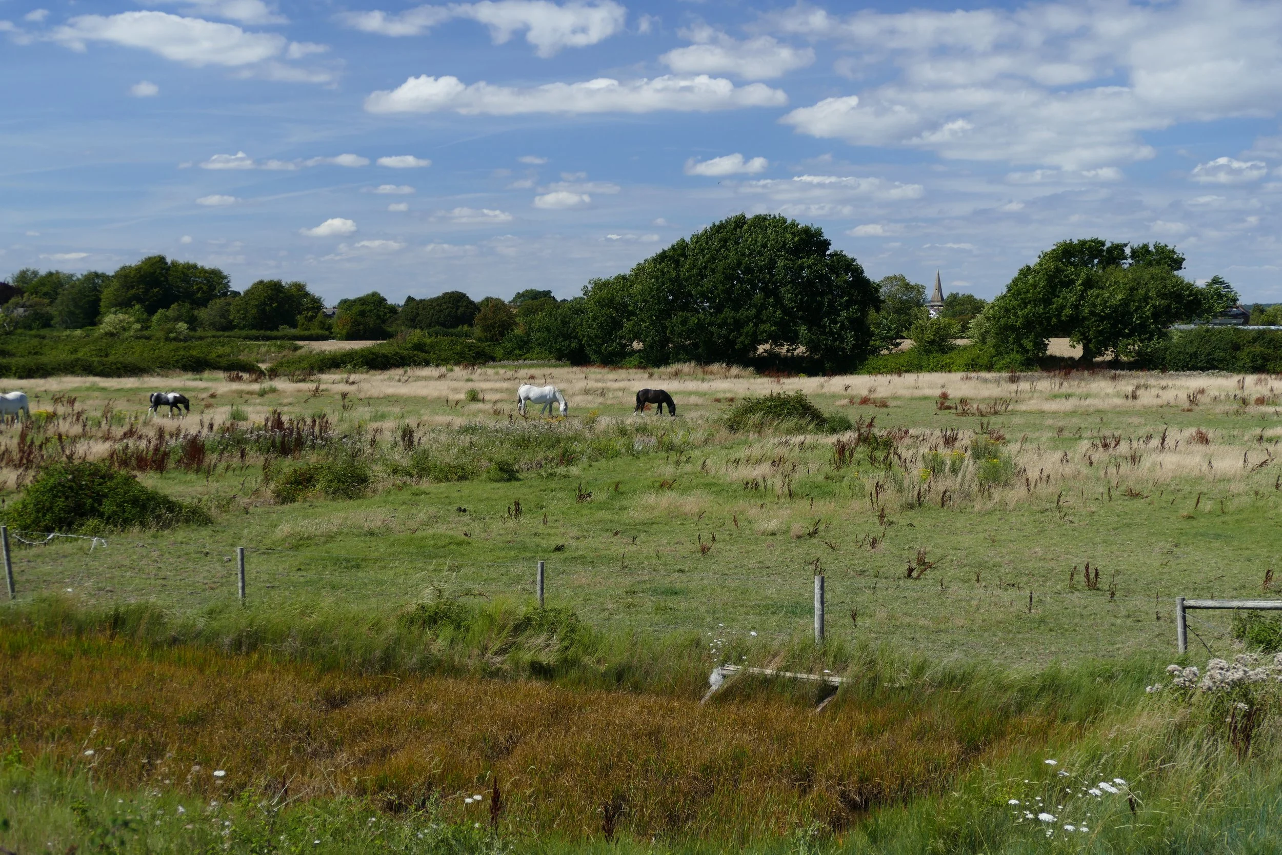 A walk for the whole family from Nutbourne in Chichester Harbour — The ...