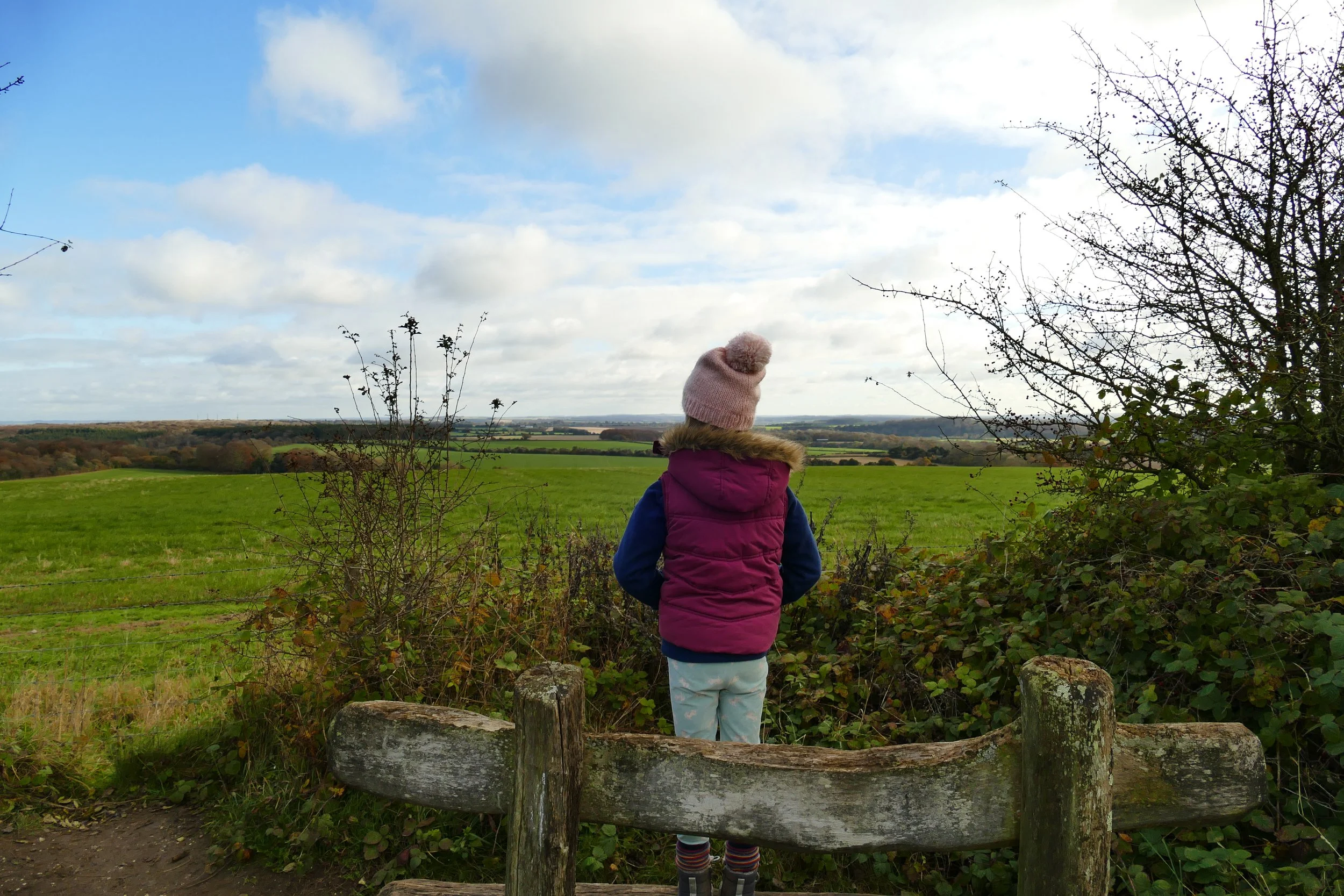 A walk for the whole family around Farley Mount Country Park — The ...