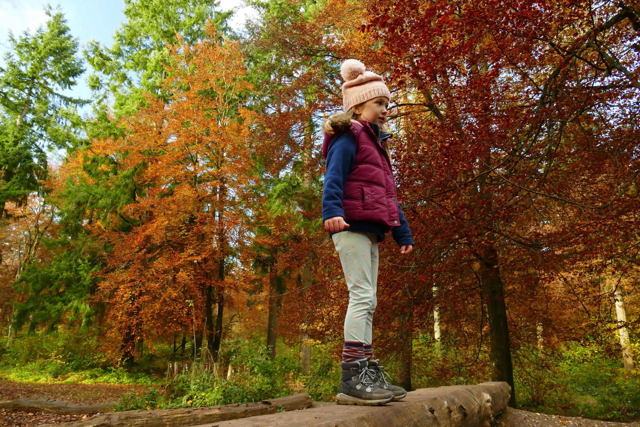 A walk for the whole family around Farley Mount Country Park — The ...