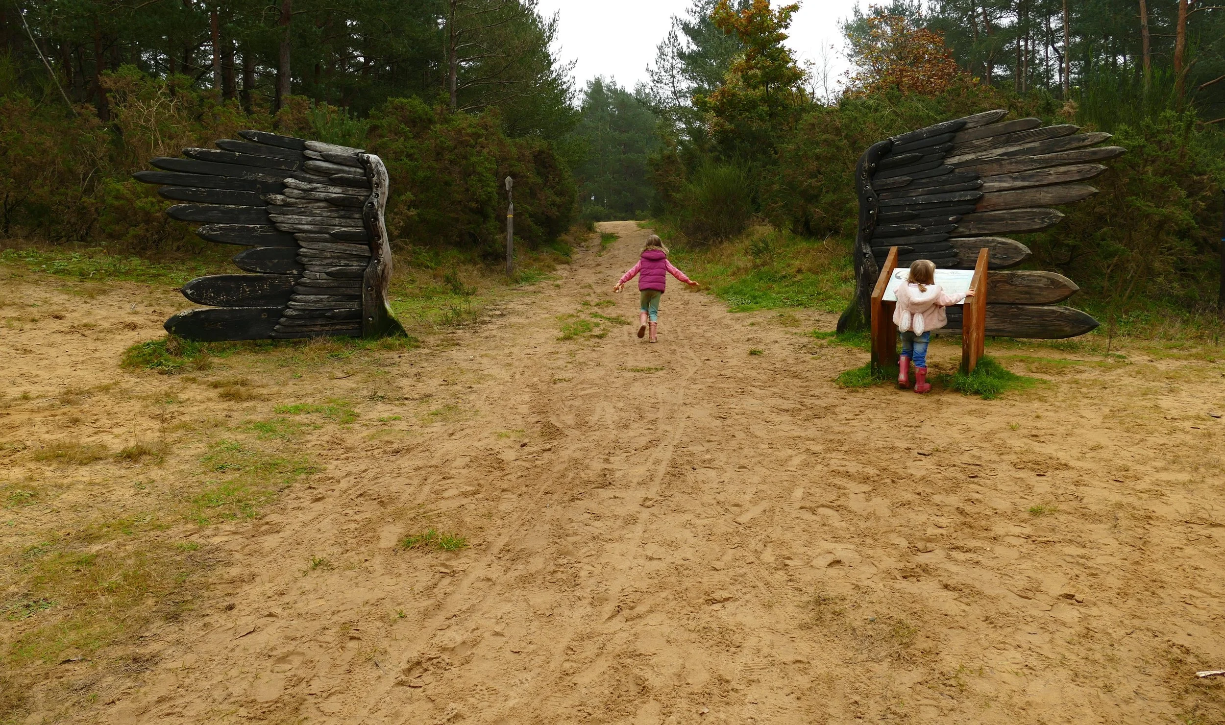 A walk for the whole family at Hogmoor Inclosure, Bordon — The Ambling ...