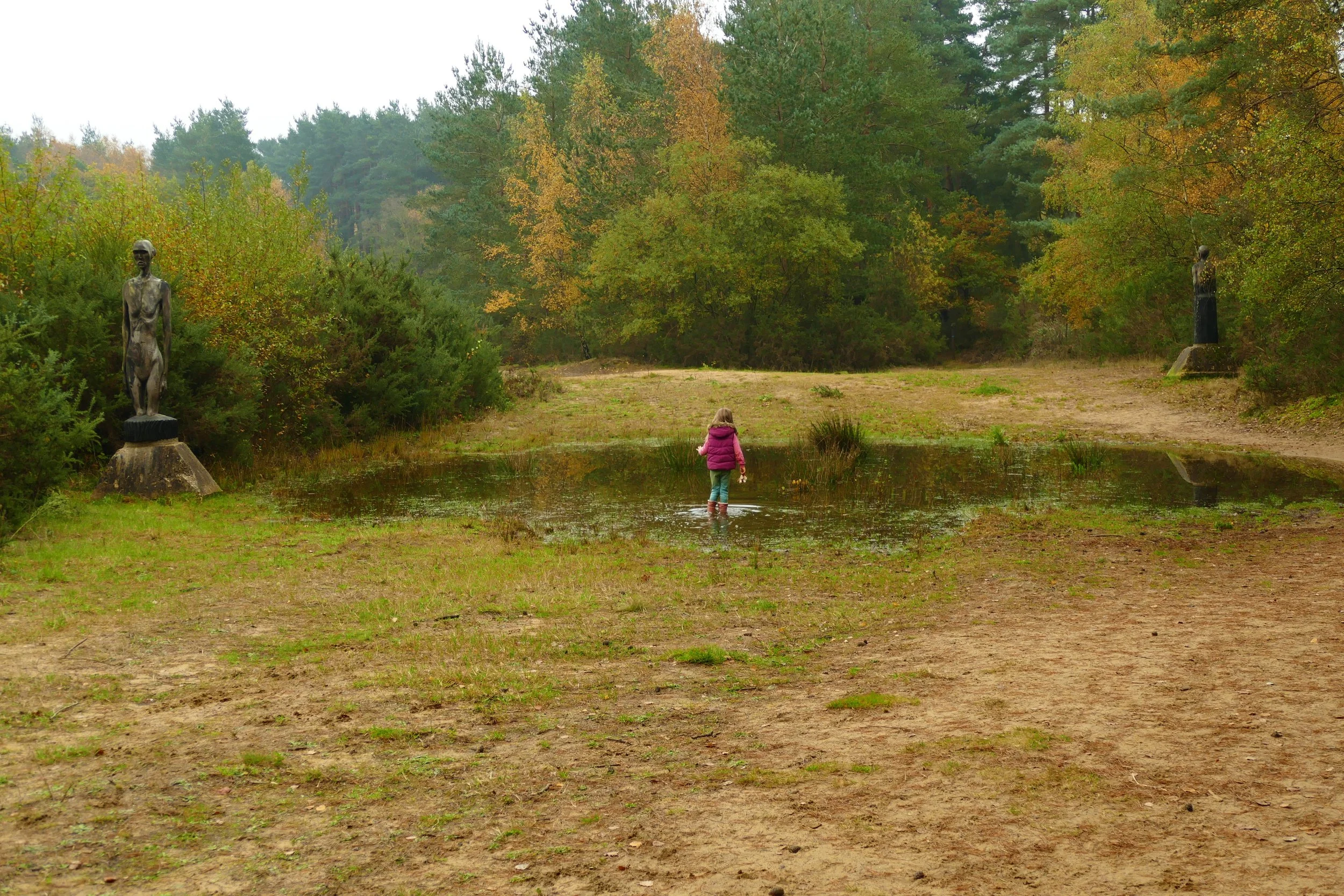 A walk for the whole family at Hogmoor Inclosure, Bordon — The Ambling ...