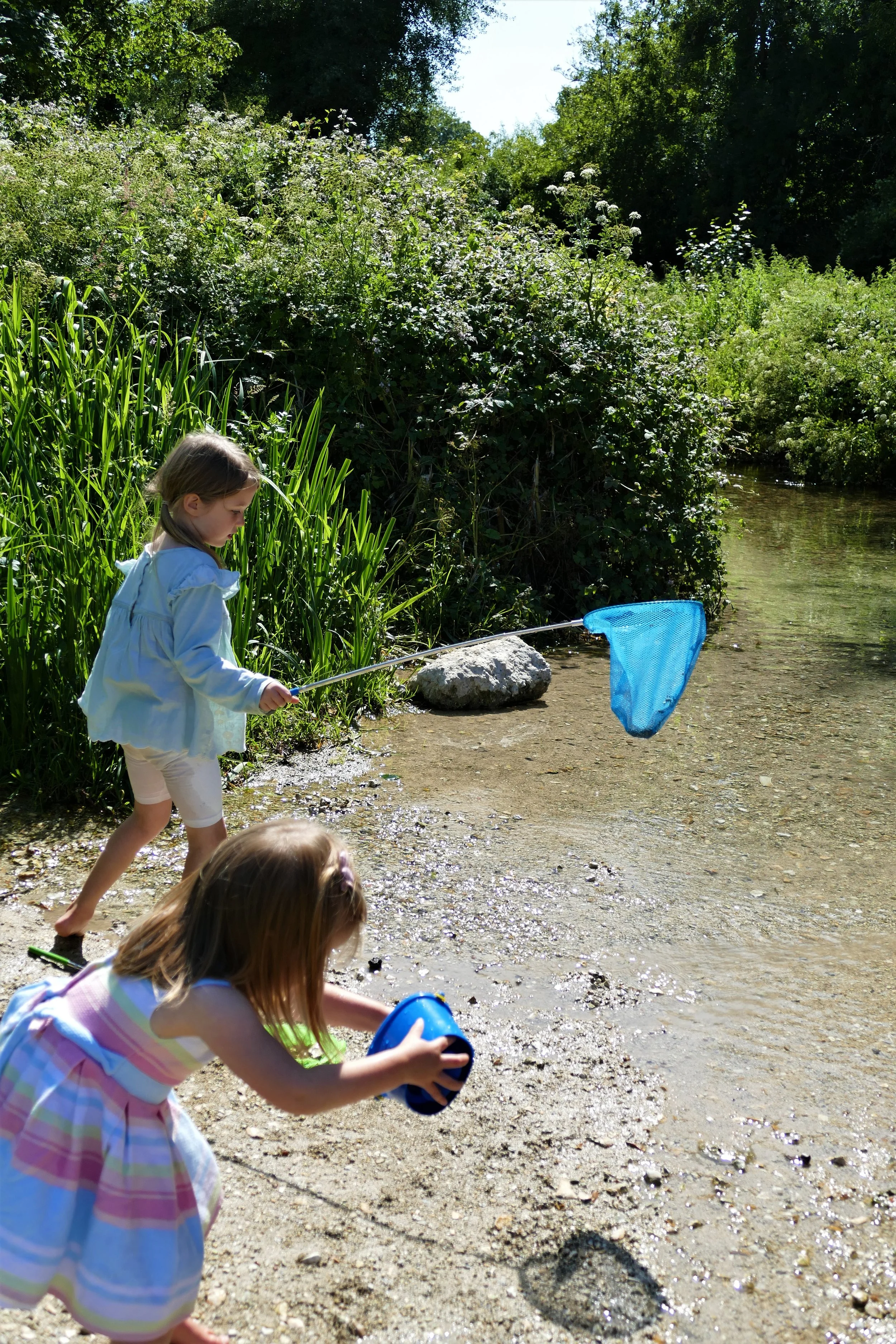 A walk for the whole family along The River Meon from Droxford — The ...