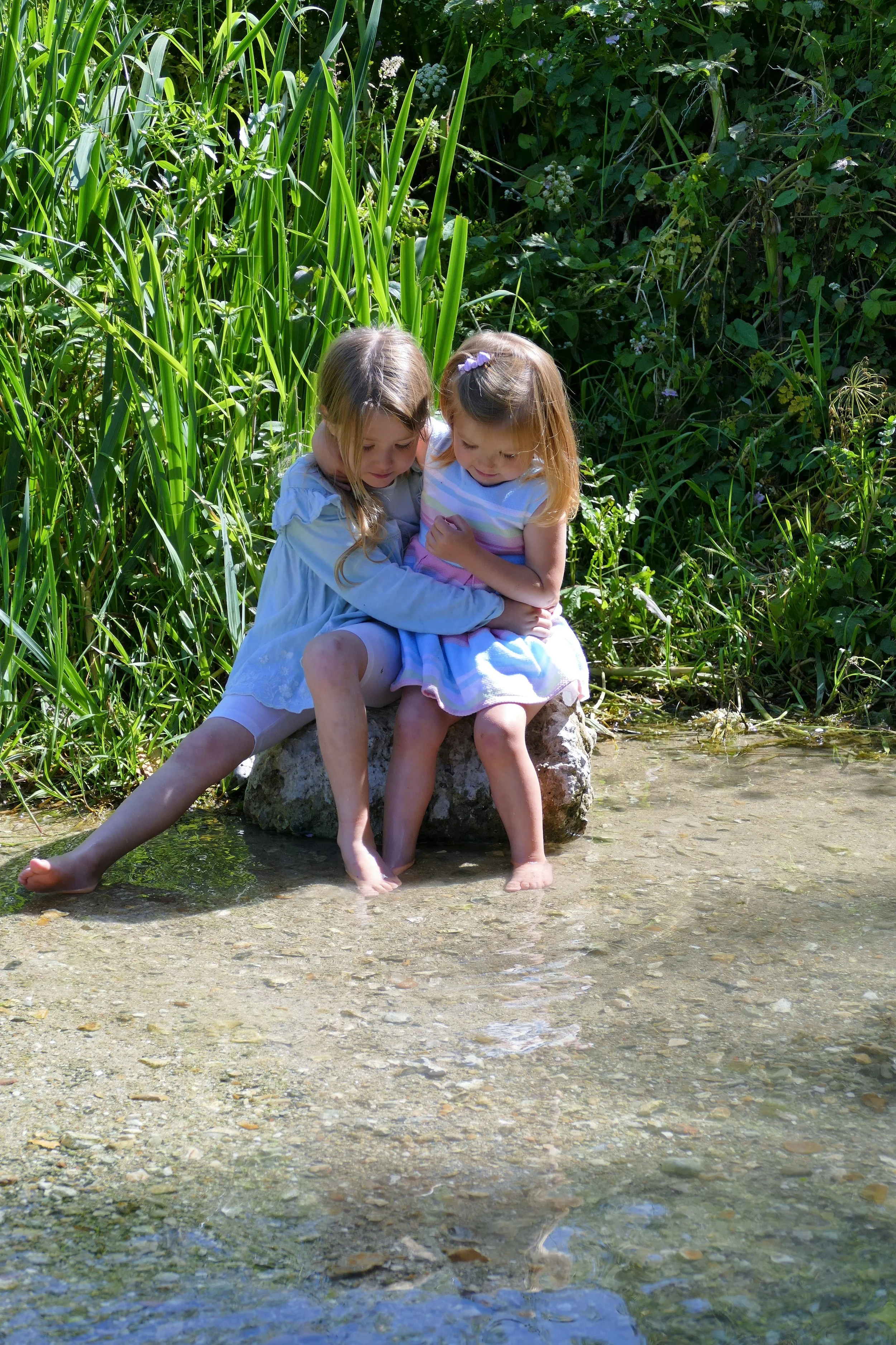 A walk for the whole family along The River Meon from Droxford — The ...