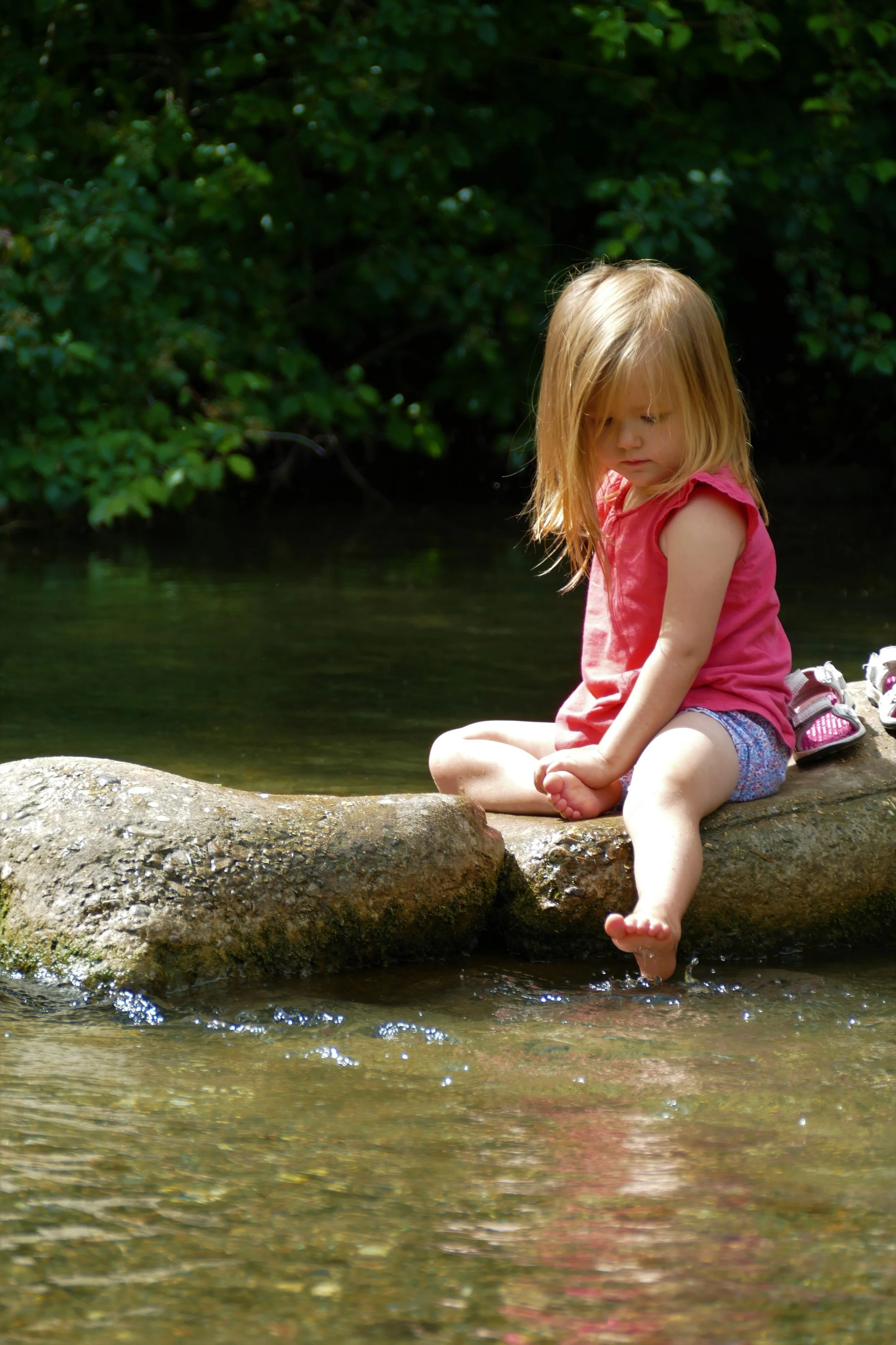A walk for the whole family along The River Meon from Droxford — The ...