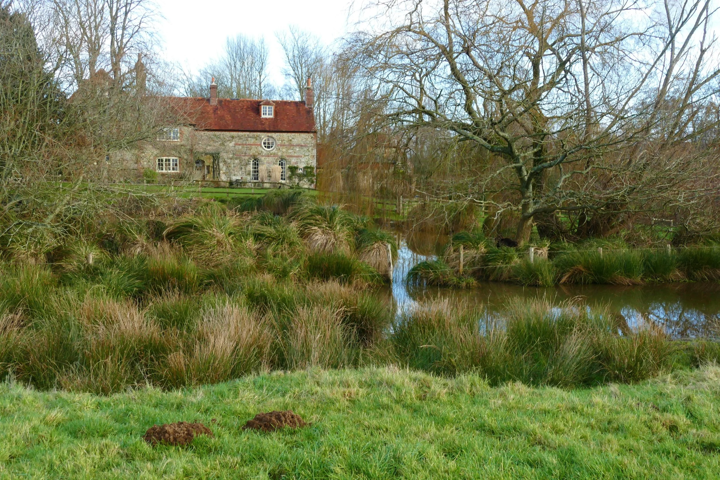 A walk for the whole family from Petersfield to Sky Park Farm — The ...