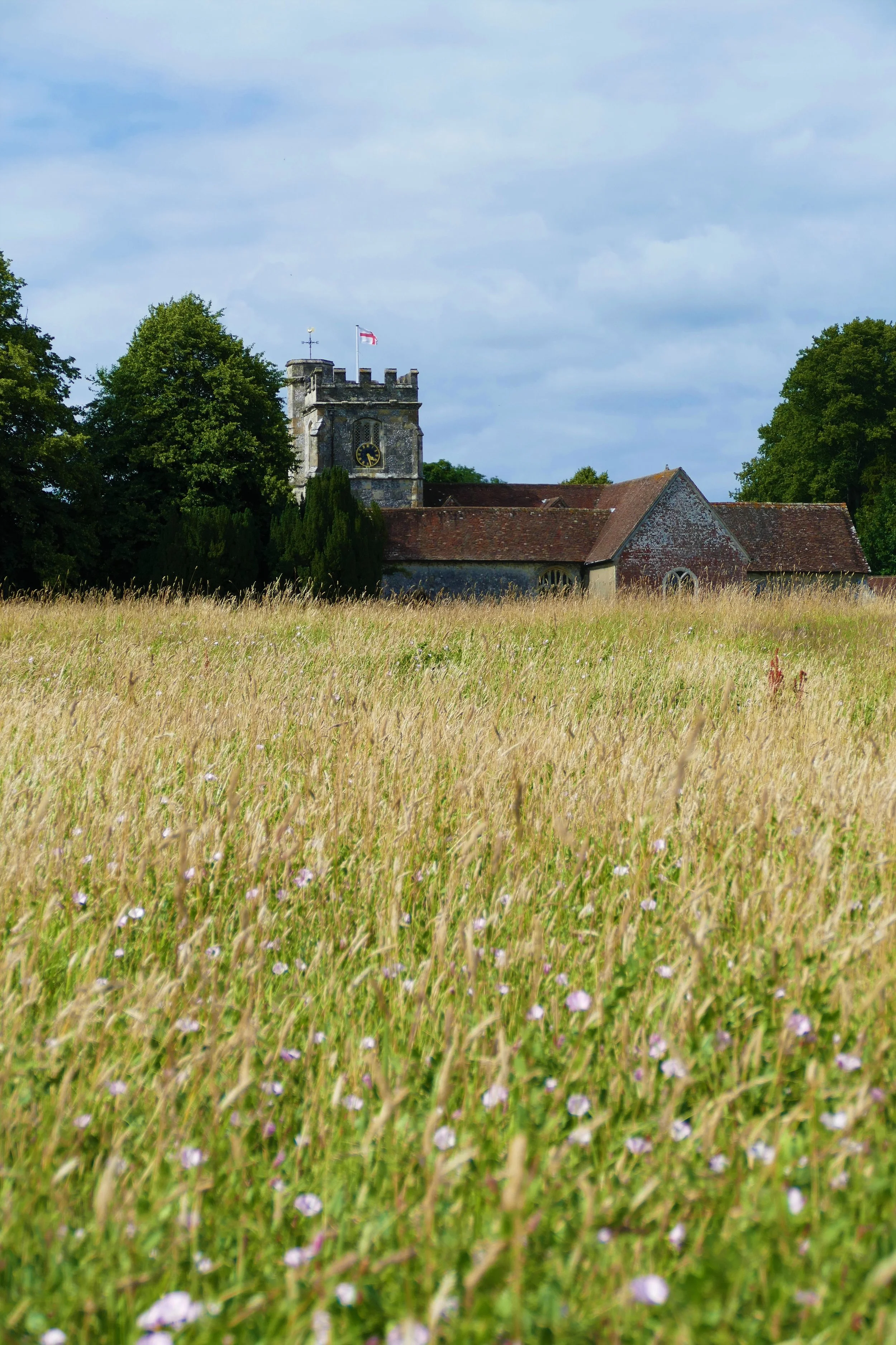 A walk for the whole family from Soberton to the River Meon — The ...