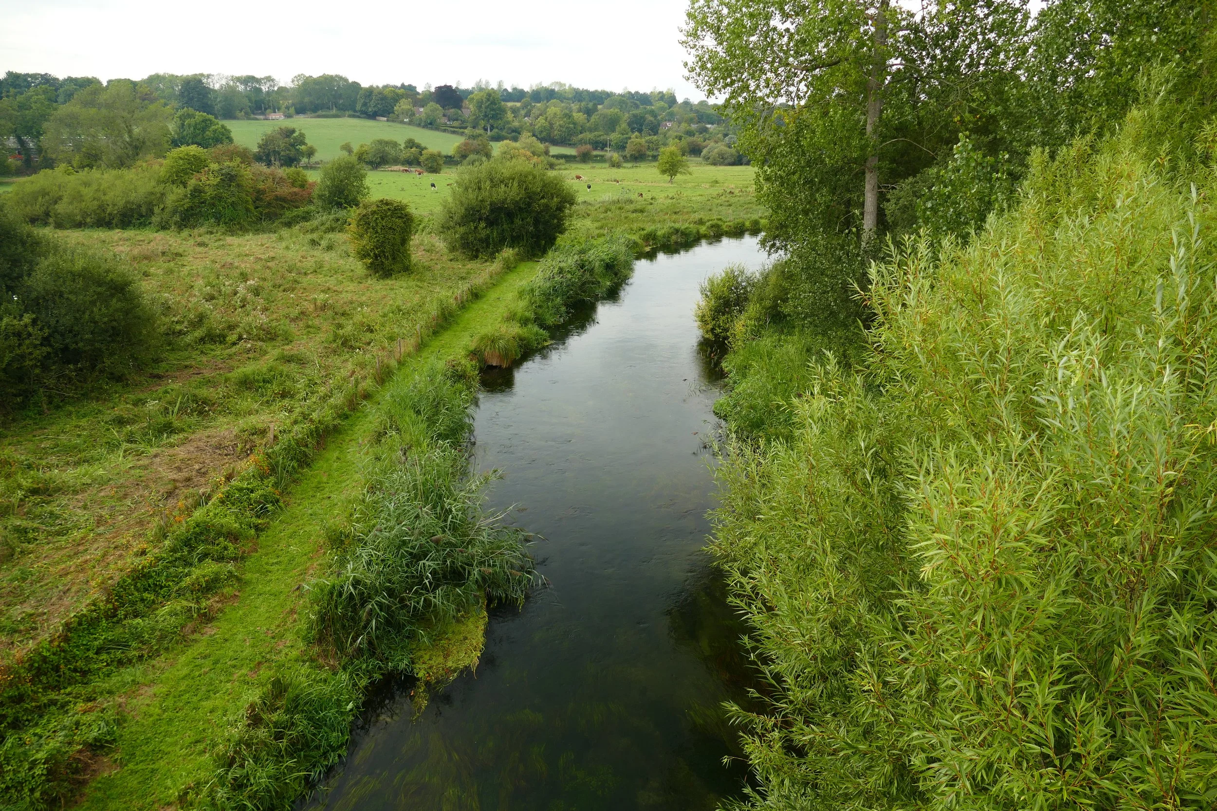 A walk for the whole family through Winchester's water meadows — The ...