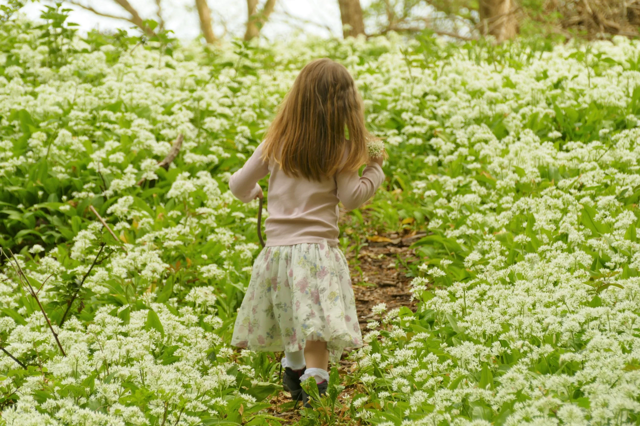 A walk for the whole family from St Hubert's Church, Idsworth — The ...