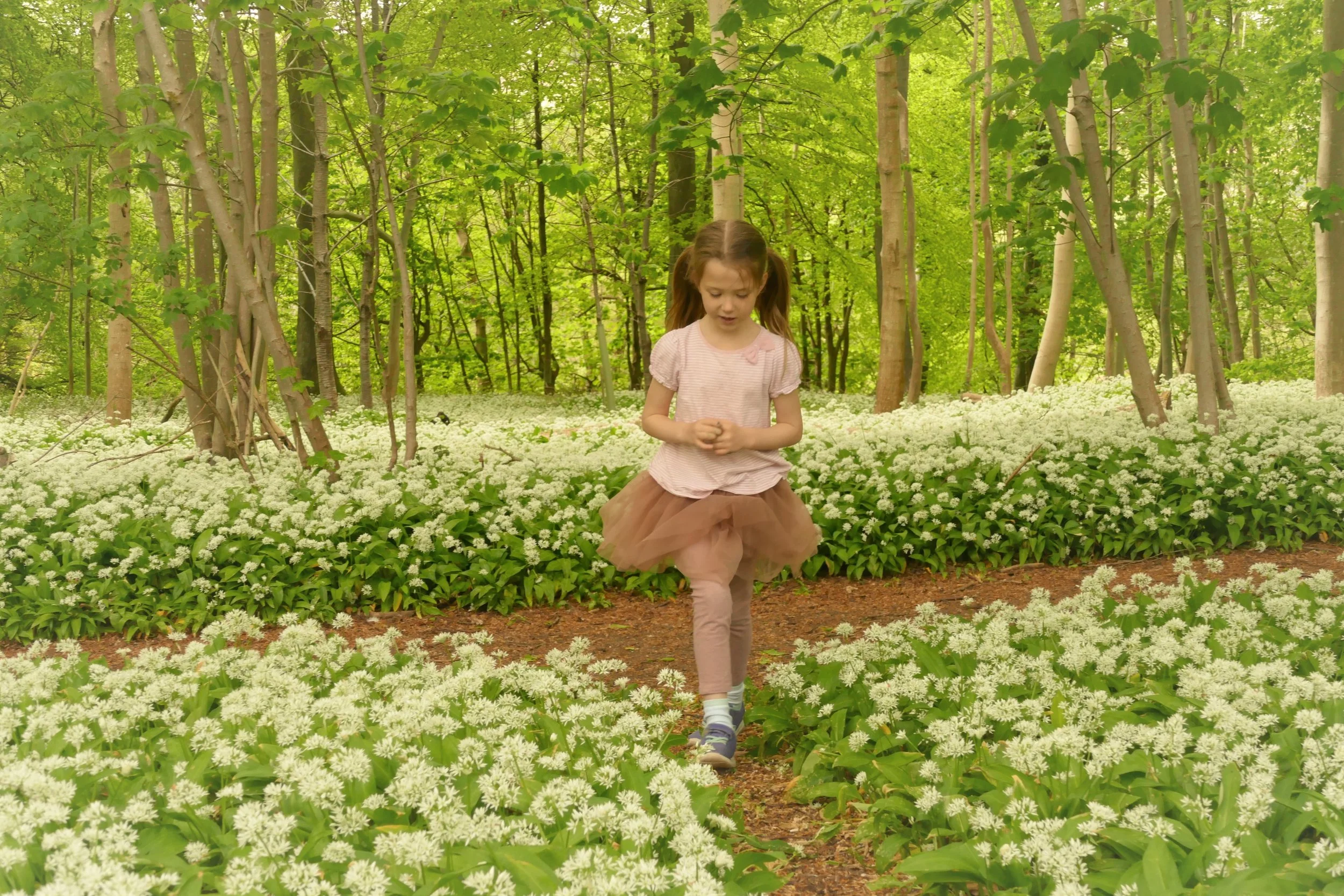 A walk for the whole family from St Hubert's Church, Idsworth — The ...