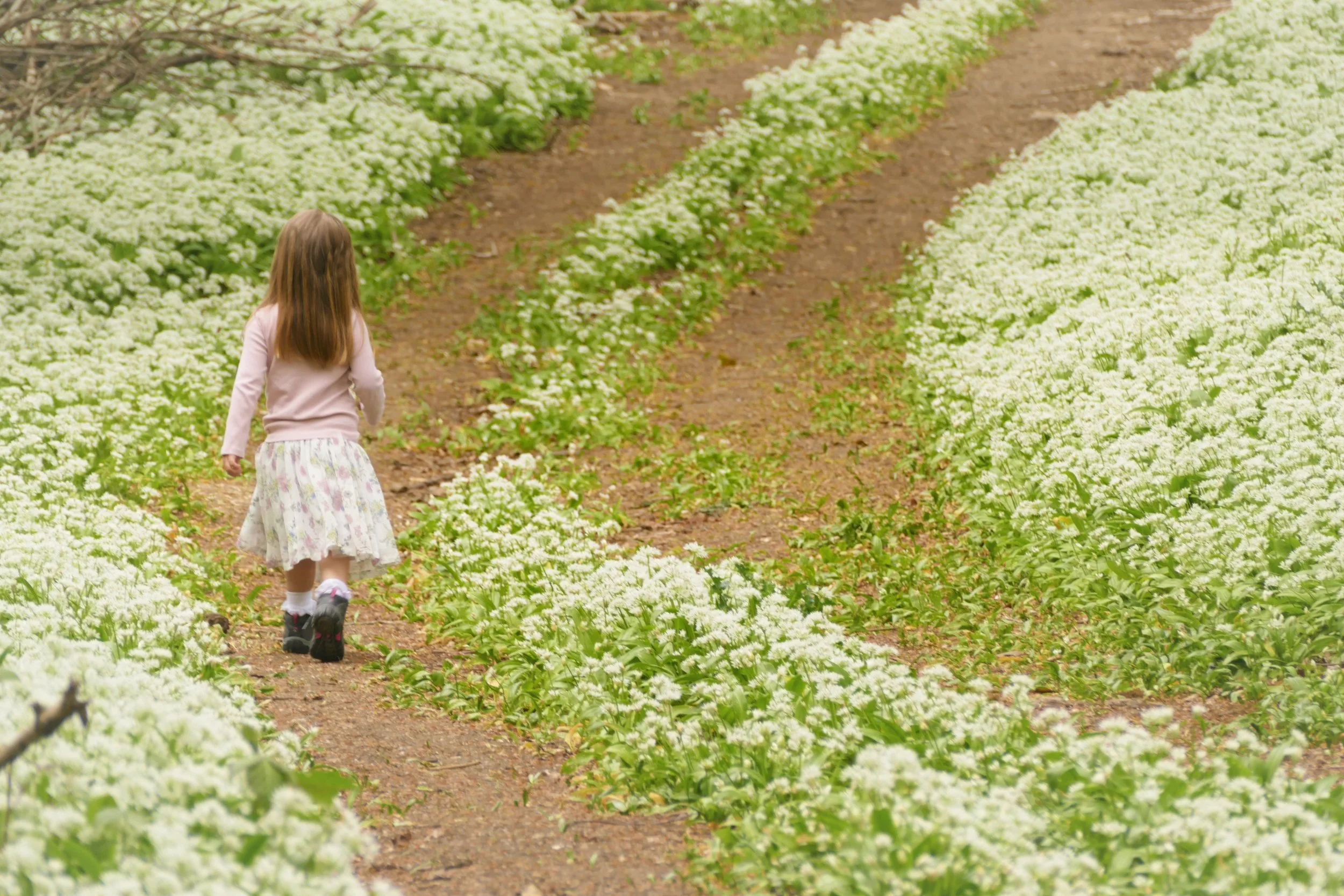 A walk for the whole family from St Hubert's Church, Idsworth — The ...