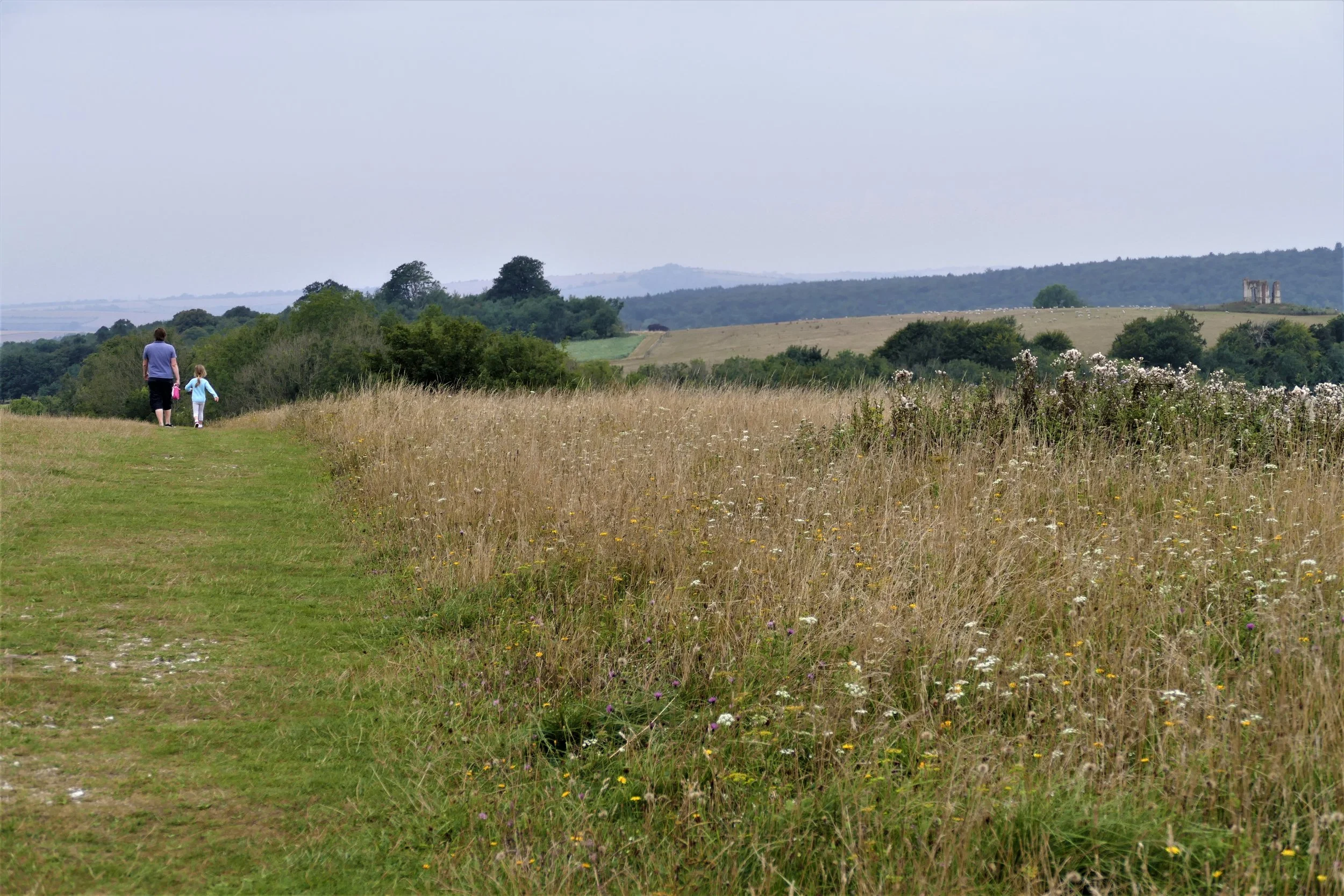A walk for the whole family on Harting Down — The Ambling Path - Family ...