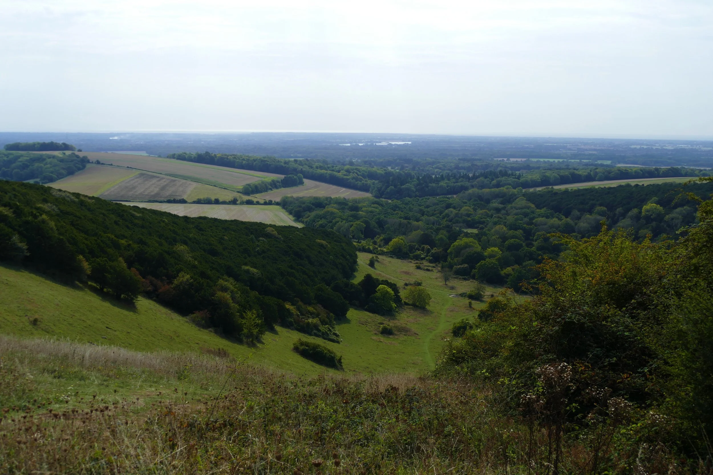 A circular walk for the whole family through Kingley Vale Nature ...