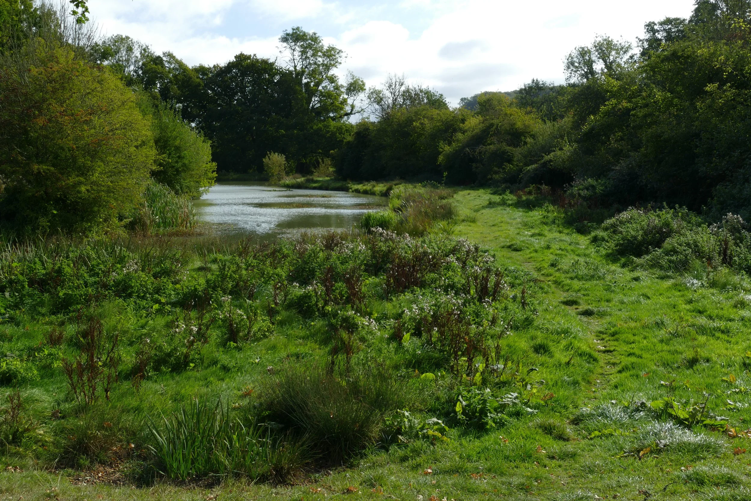 A walk for the whole family around Selborne — The Ambling Path - Family ...