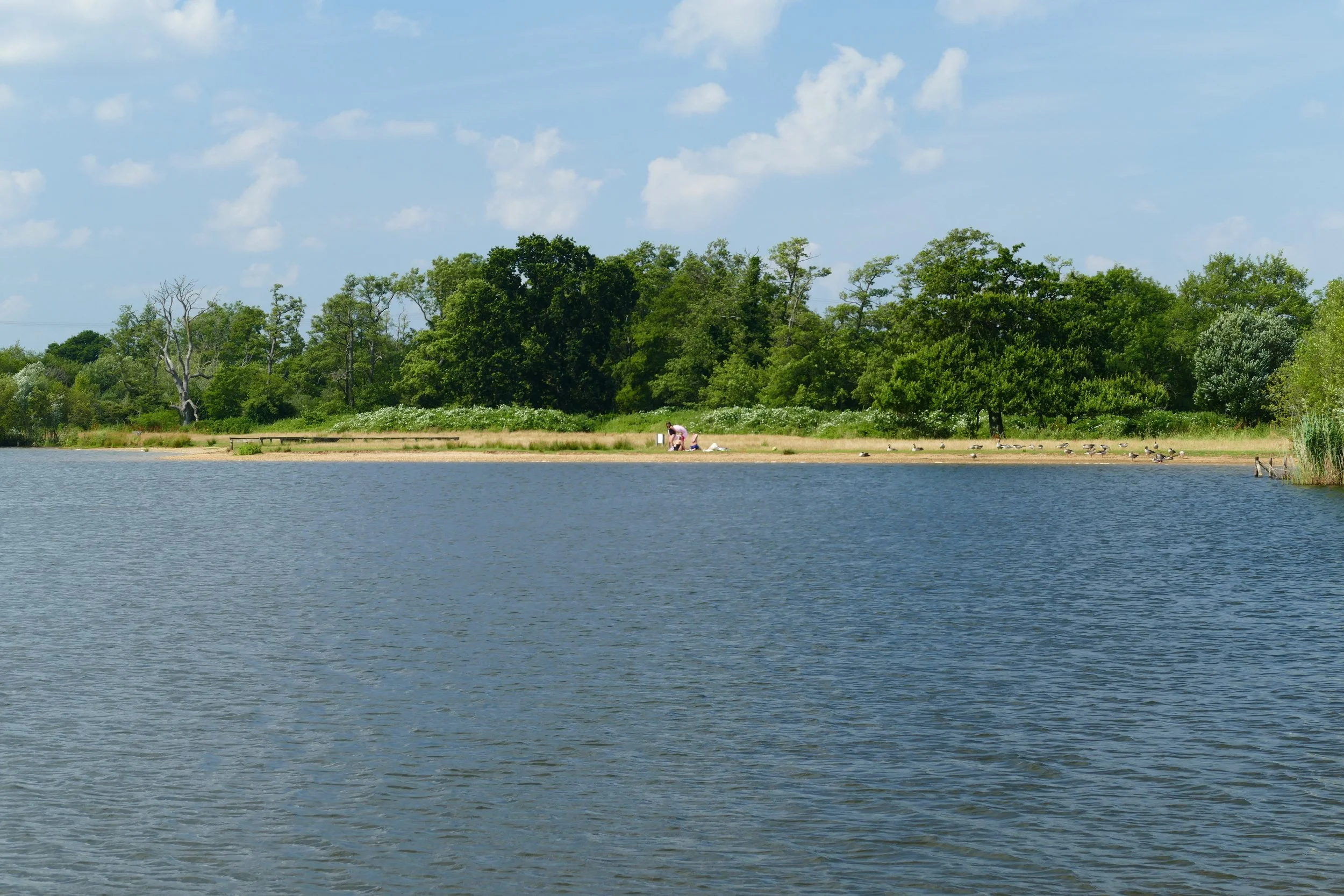 A walk for the whole family around Testwood Lakes Nature Reserve, near ...