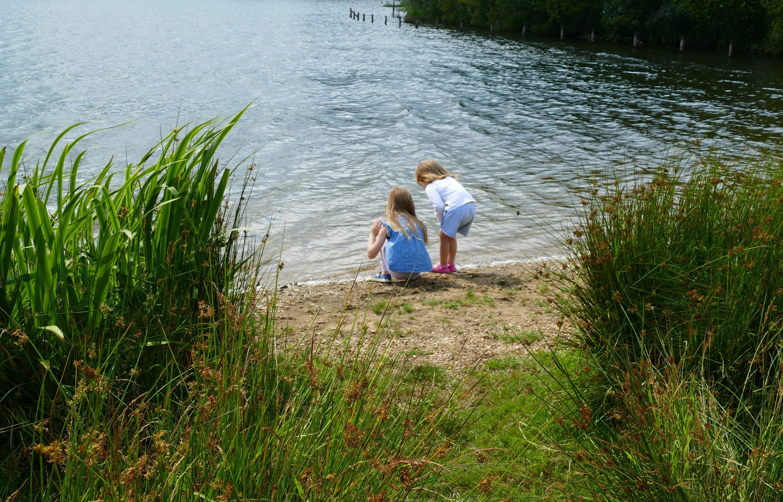 A walk for the whole family around Testwood Lakes Nature Reserve, near ...