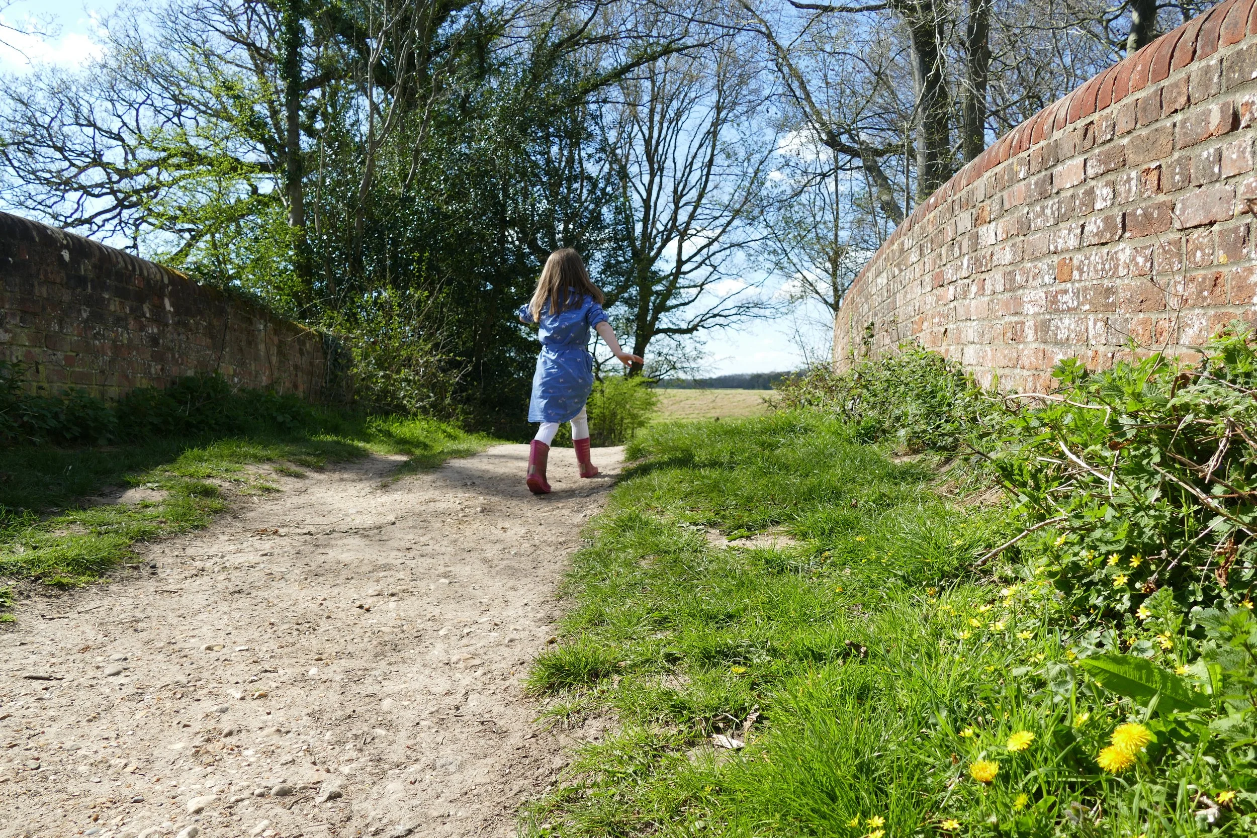 A circular walk for the whole family along The Basingstoke Canal — The ...