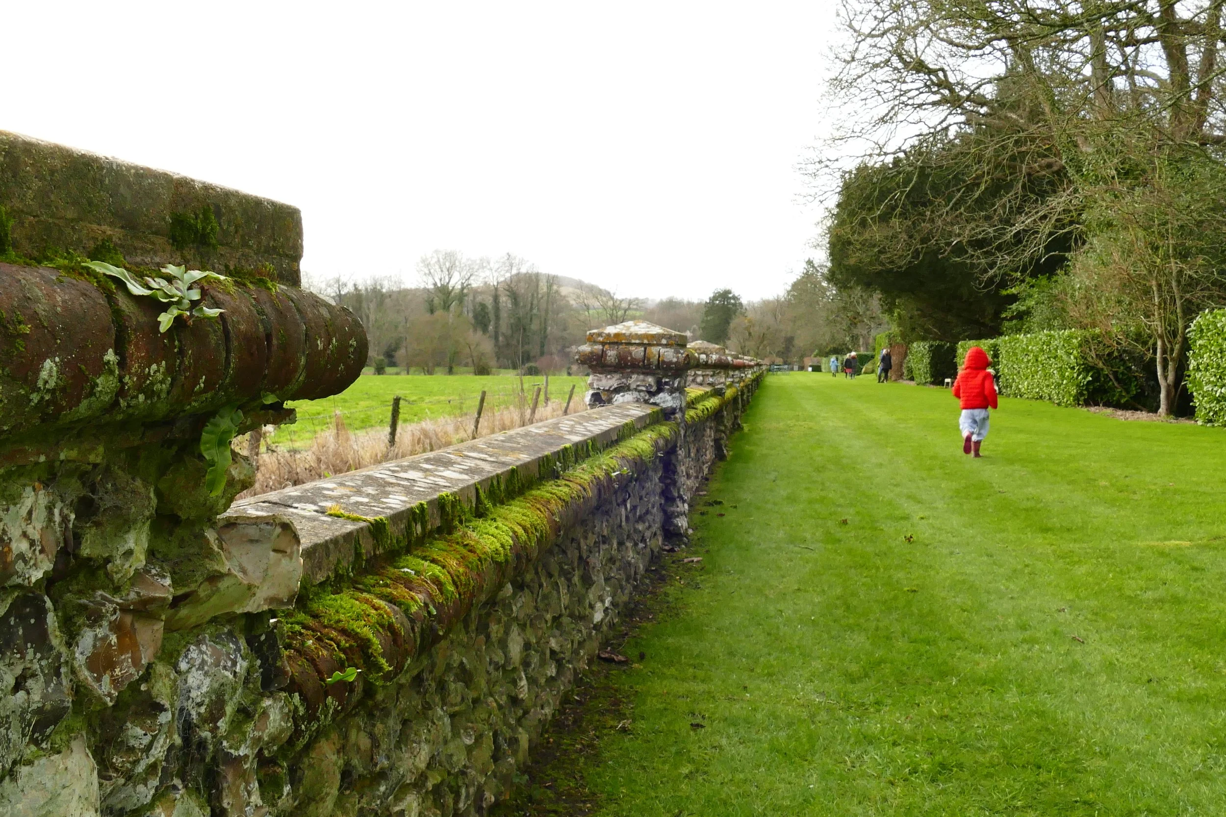 A seasonal walk for the whole family to see the snowdrops at Warnford ...