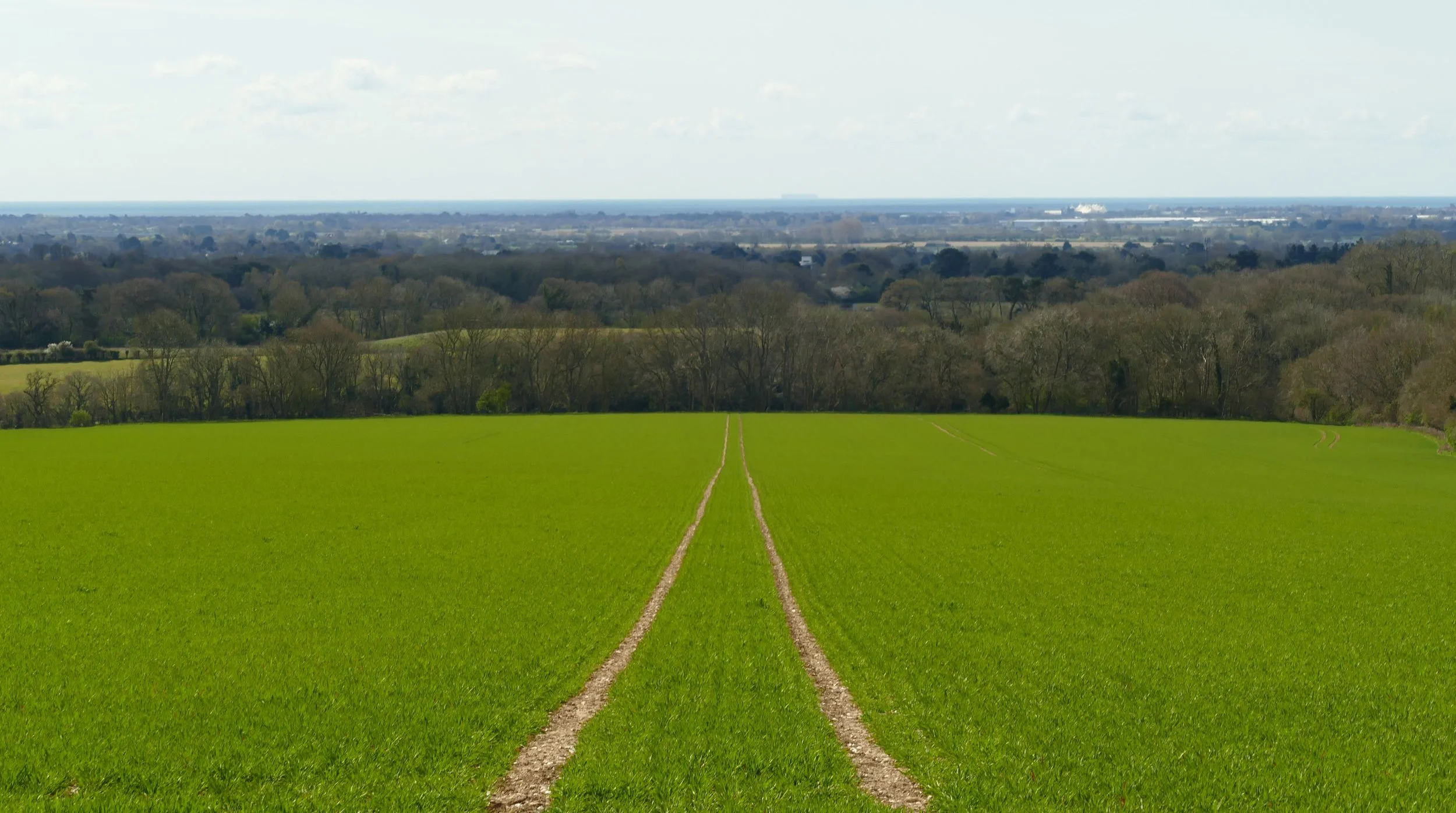 A circular walk for the whole family around Nore Wood on the Slindon ...