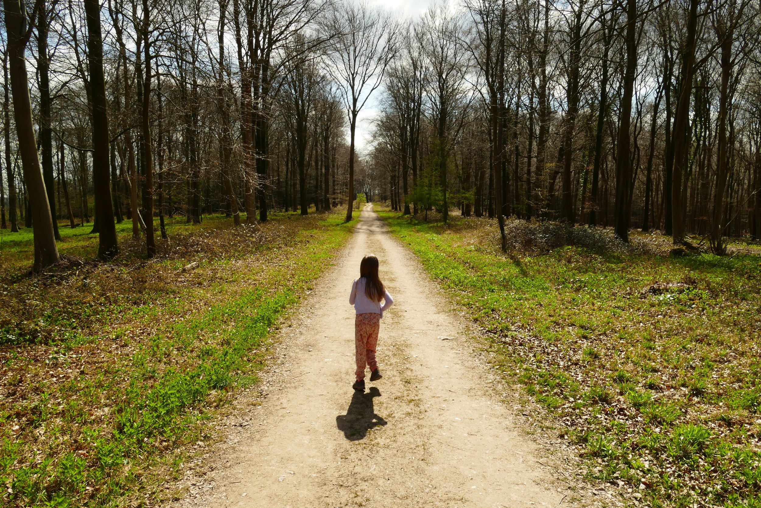 A circular walk for the whole family around Nore Wood on the Slindon ...