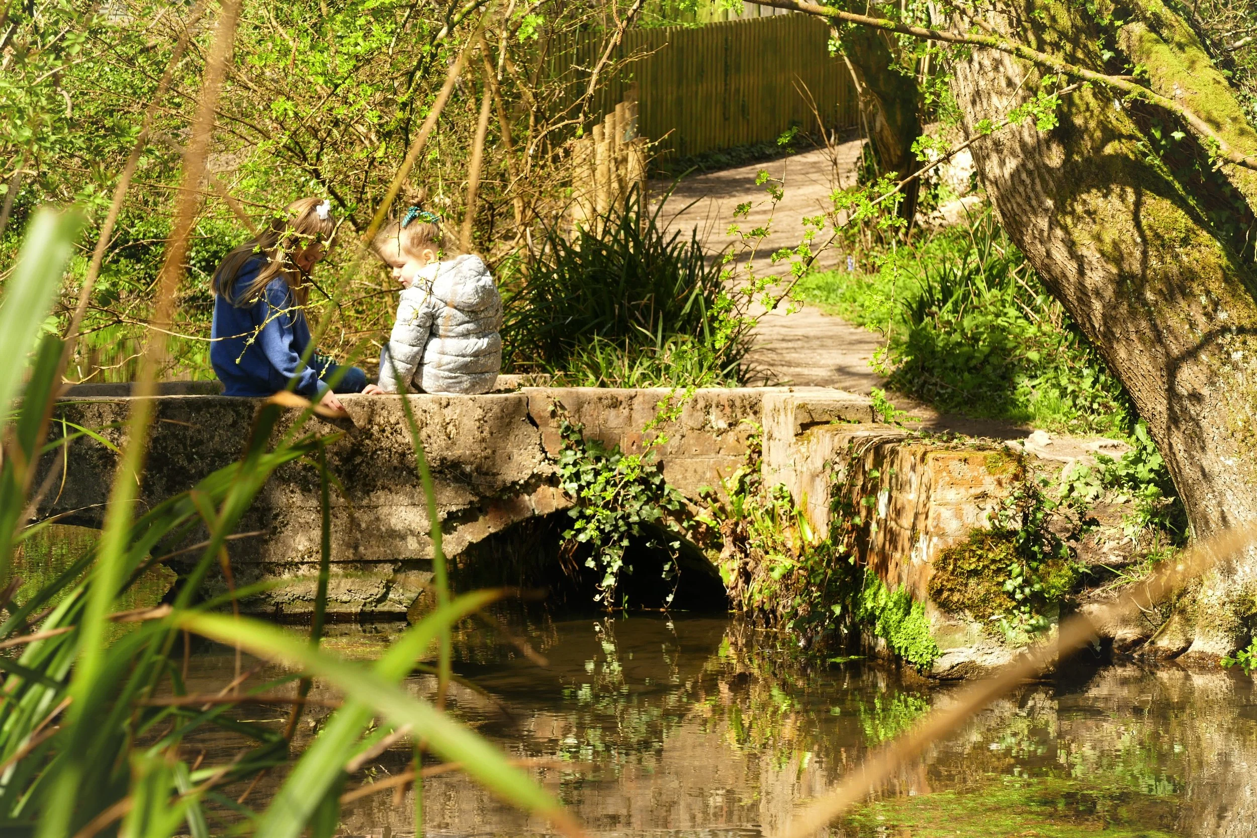 A circular river walk for the whole family around Alresford — The ...