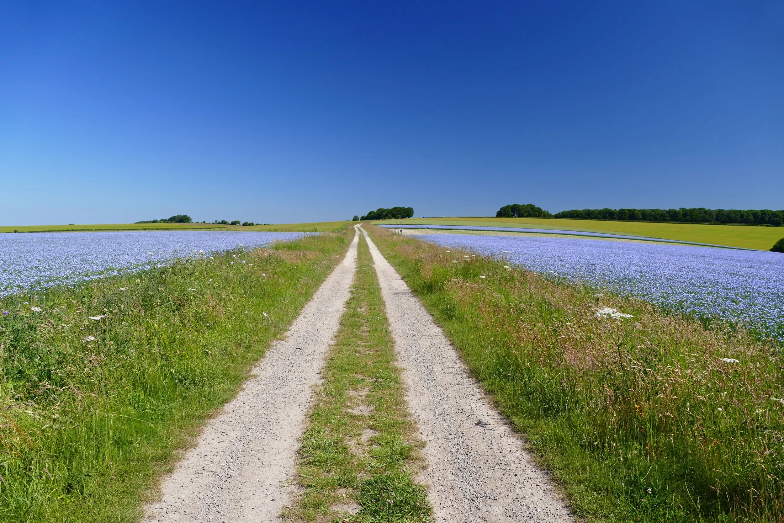 The Ambling Path - Family Friendly Walks - Family Walks Hampshire, West ...