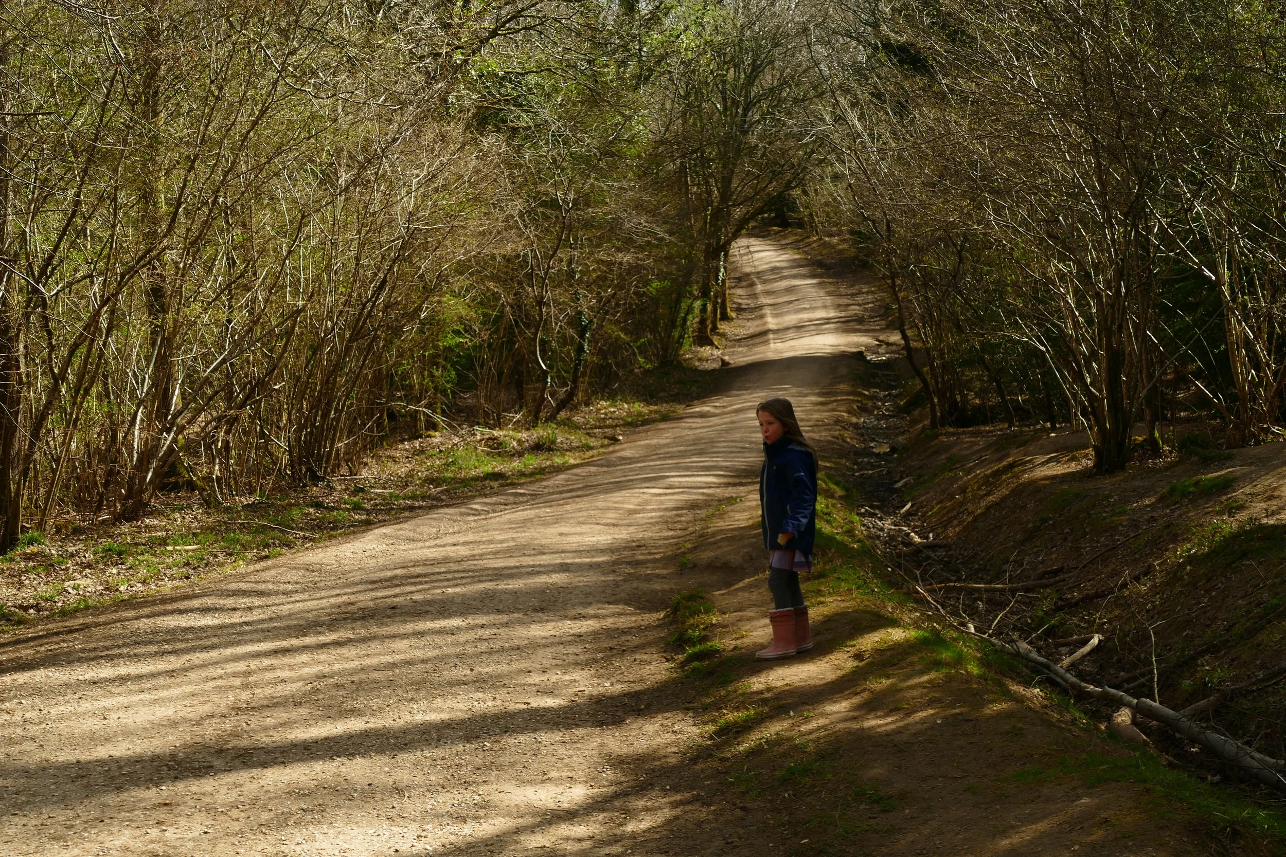 A circular walk for the whole family from West Walk, Forest of Bere ...