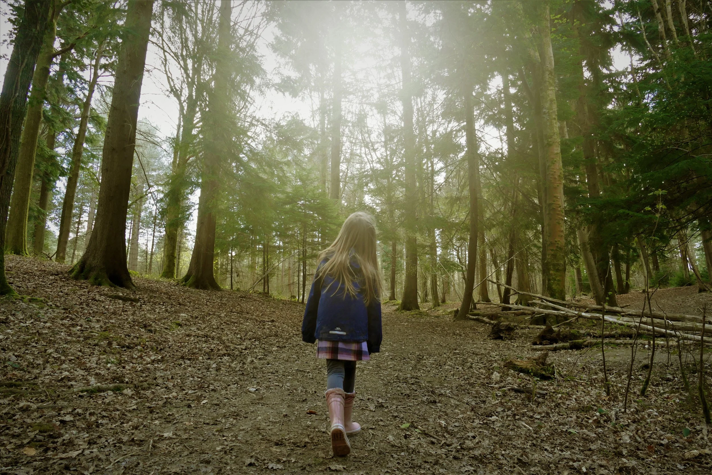 A circular walk for the whole family from West Walk, Forest of Bere ...