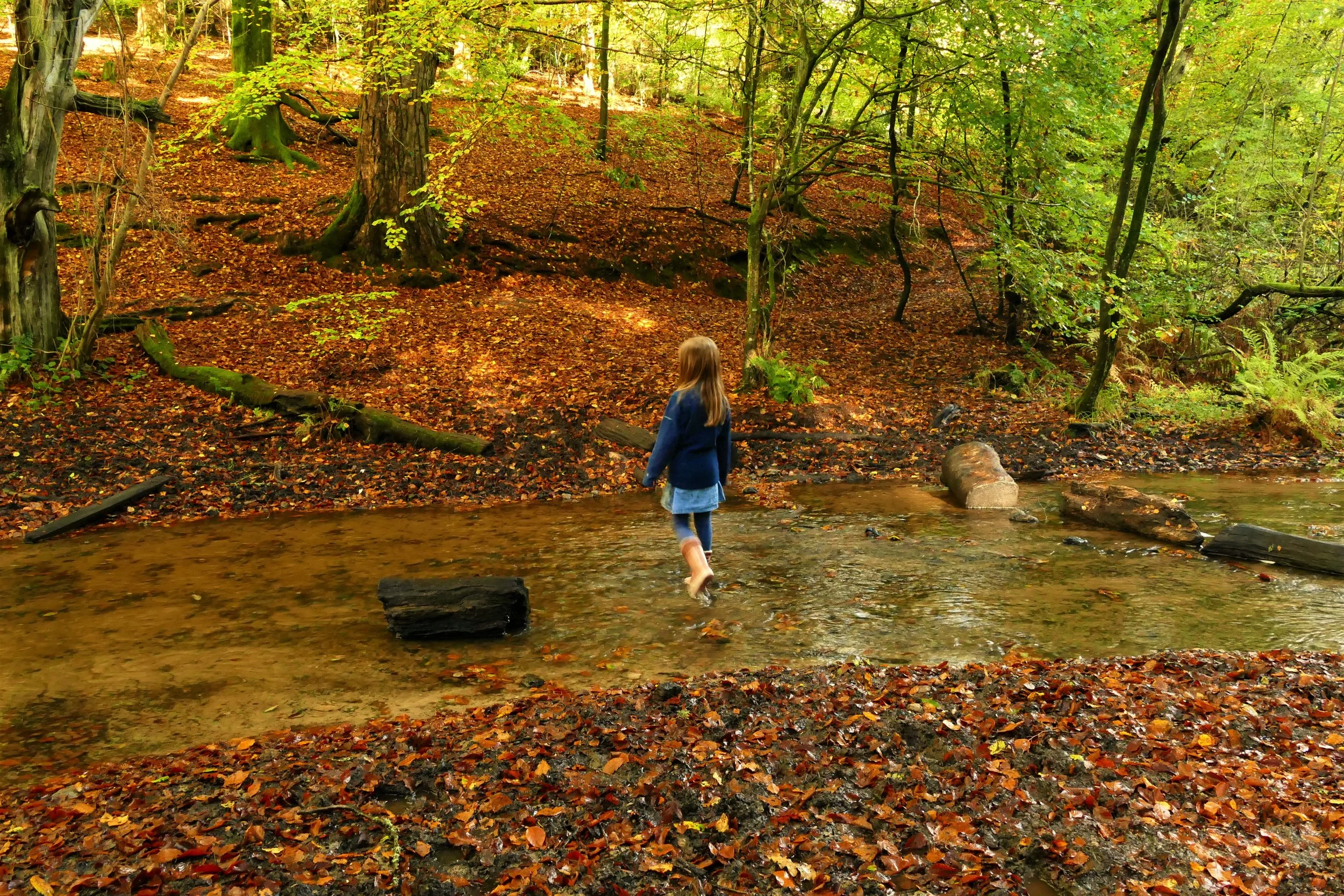 A circular walk for the whole family around Waggoners Wells near ...