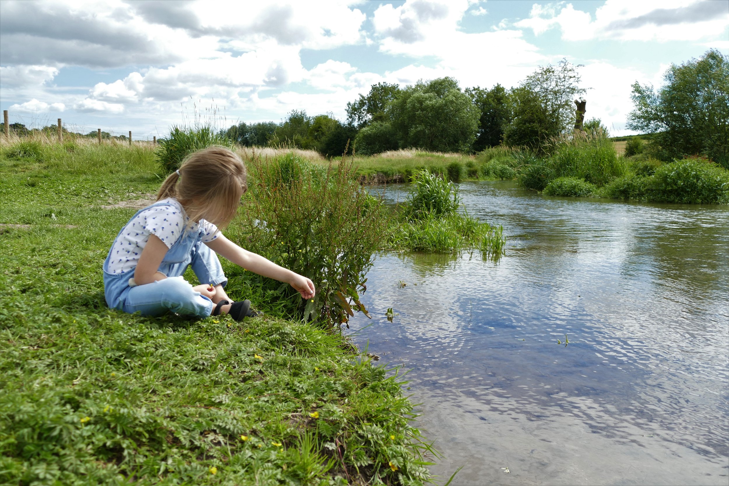 A walk for the whole family from Soberton to the River Meon — The ...