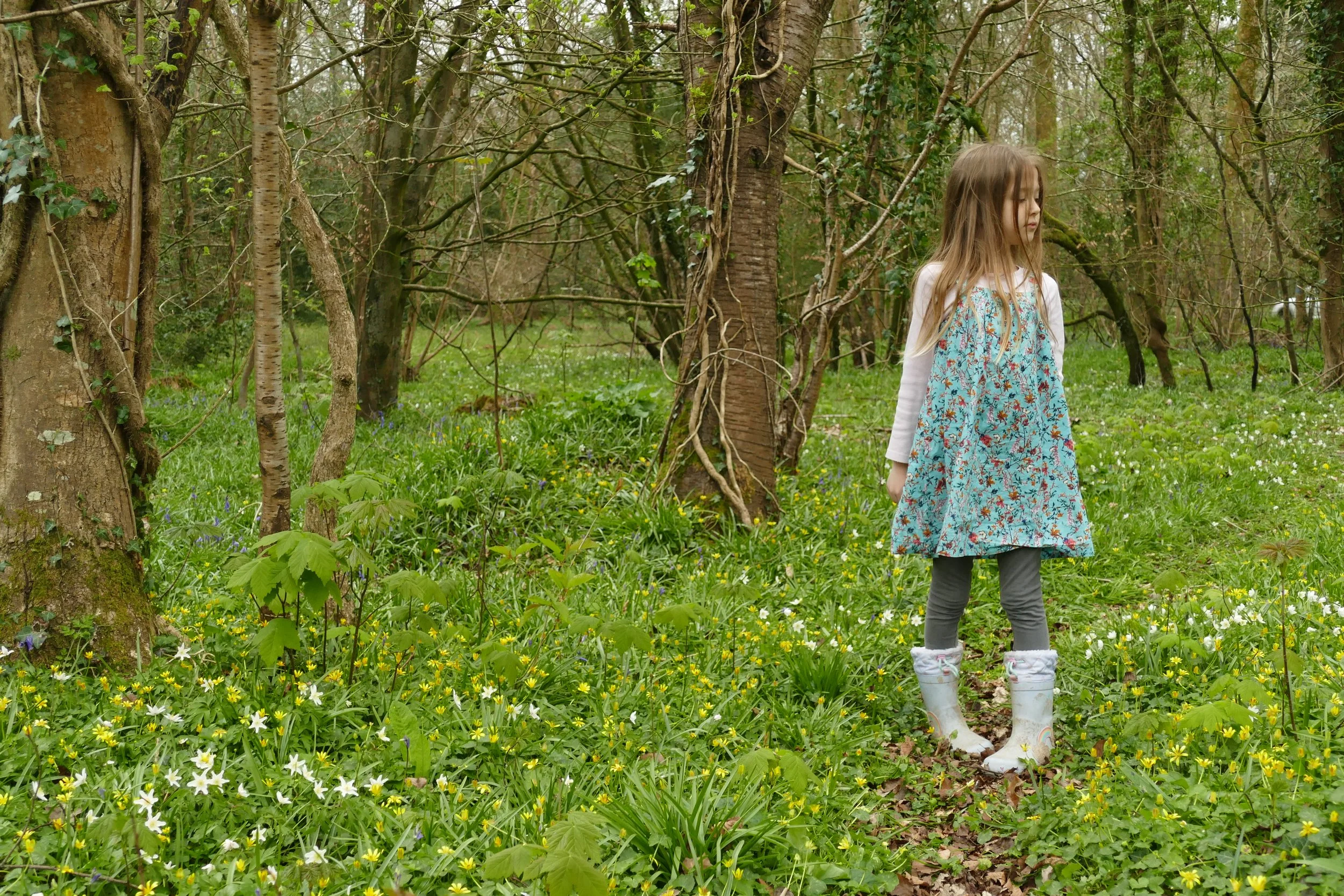 A walk for the whole family at Upperford Copse — The Ambling Path ...