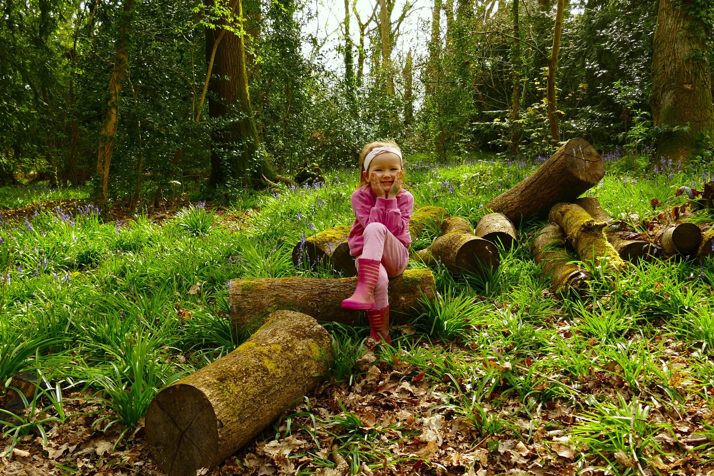 A walk for the whole family around Catherington Lith — The Ambling Path ...