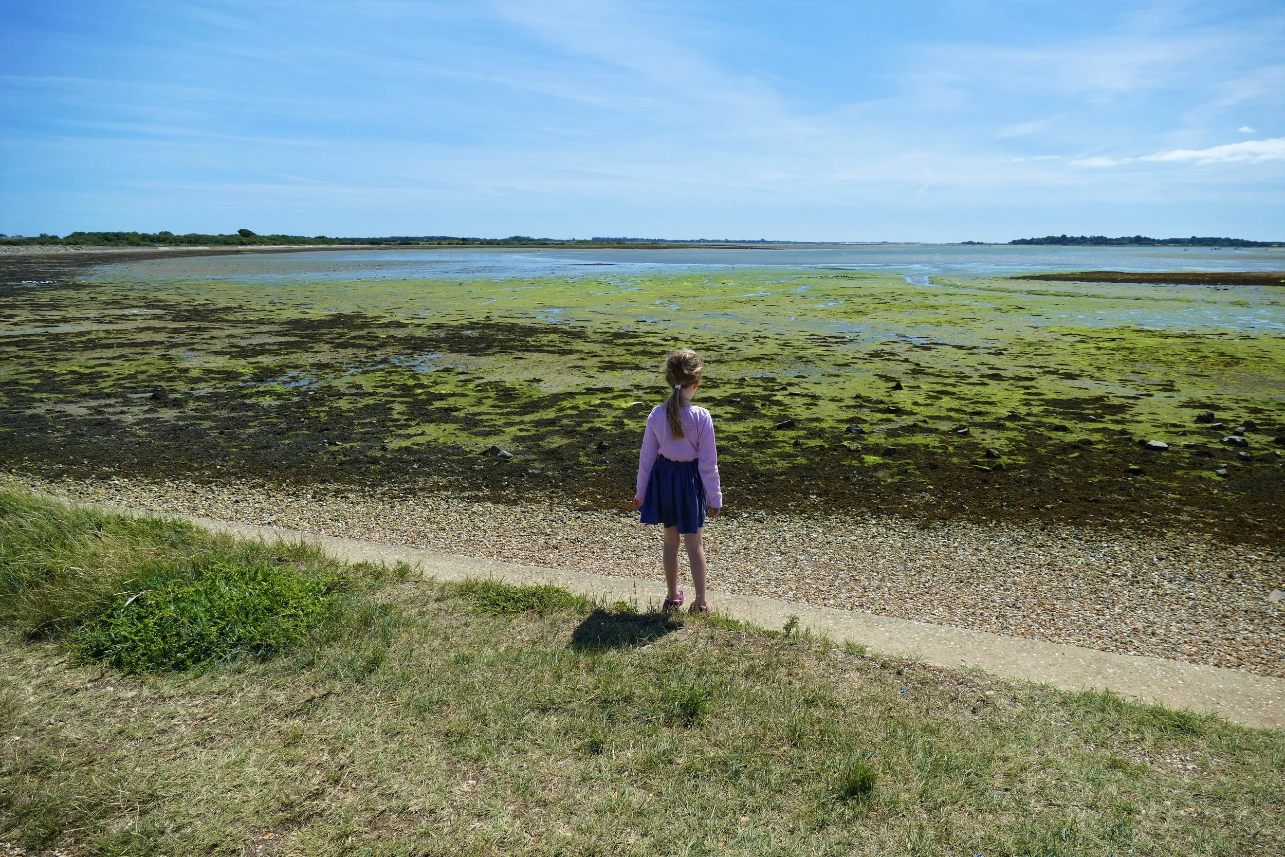 A walk for the whole family from Nutbourne in Chichester Harbour — The ...