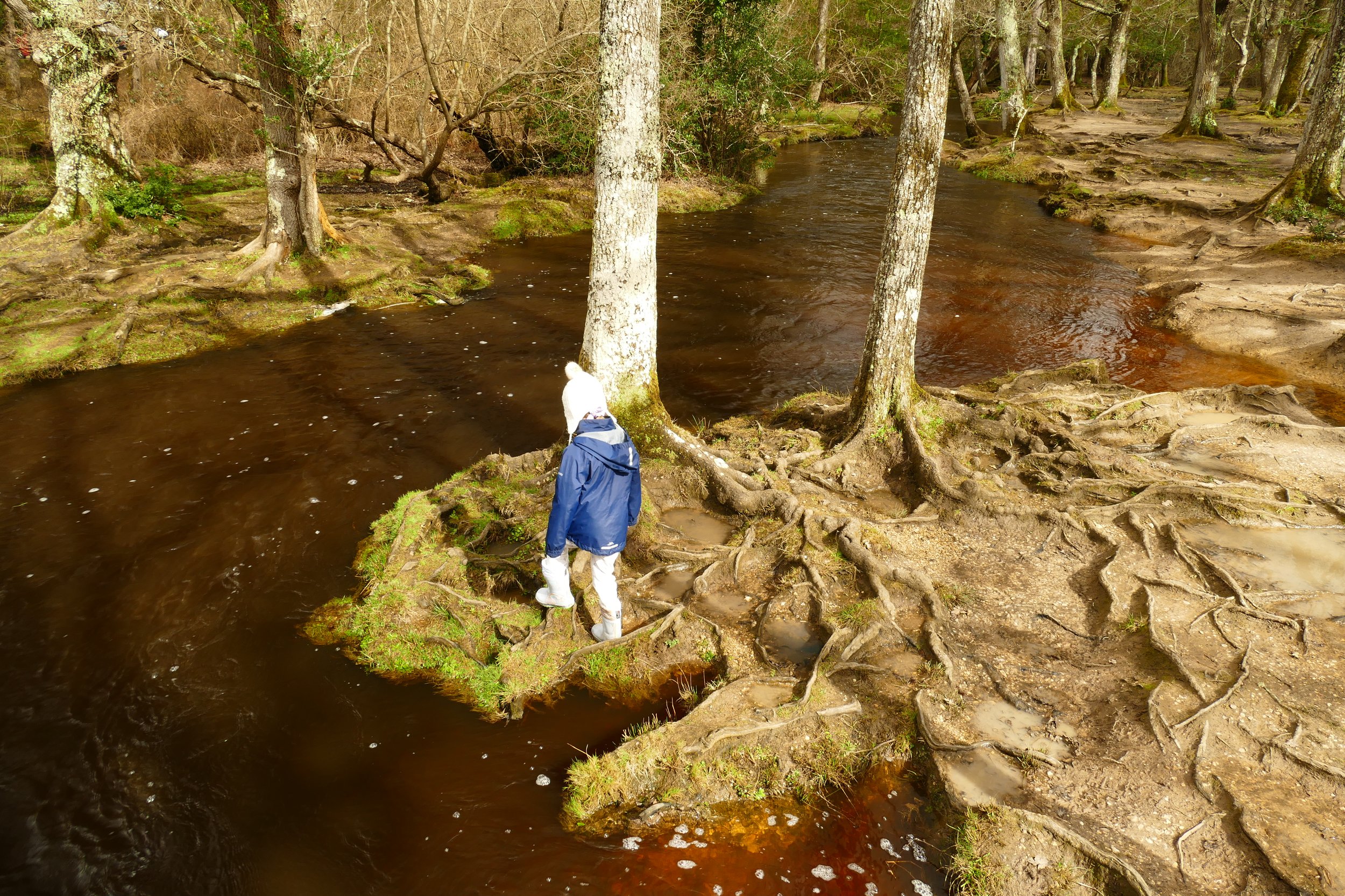 A walk for the whole family at Puttles Bridge — The Ambling Path ...