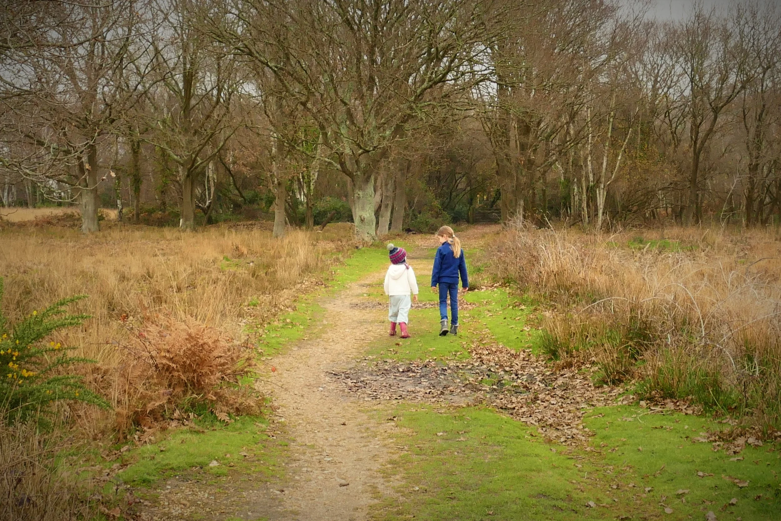 A circular walk for the whole family around Hamble-le-Rice — The ...