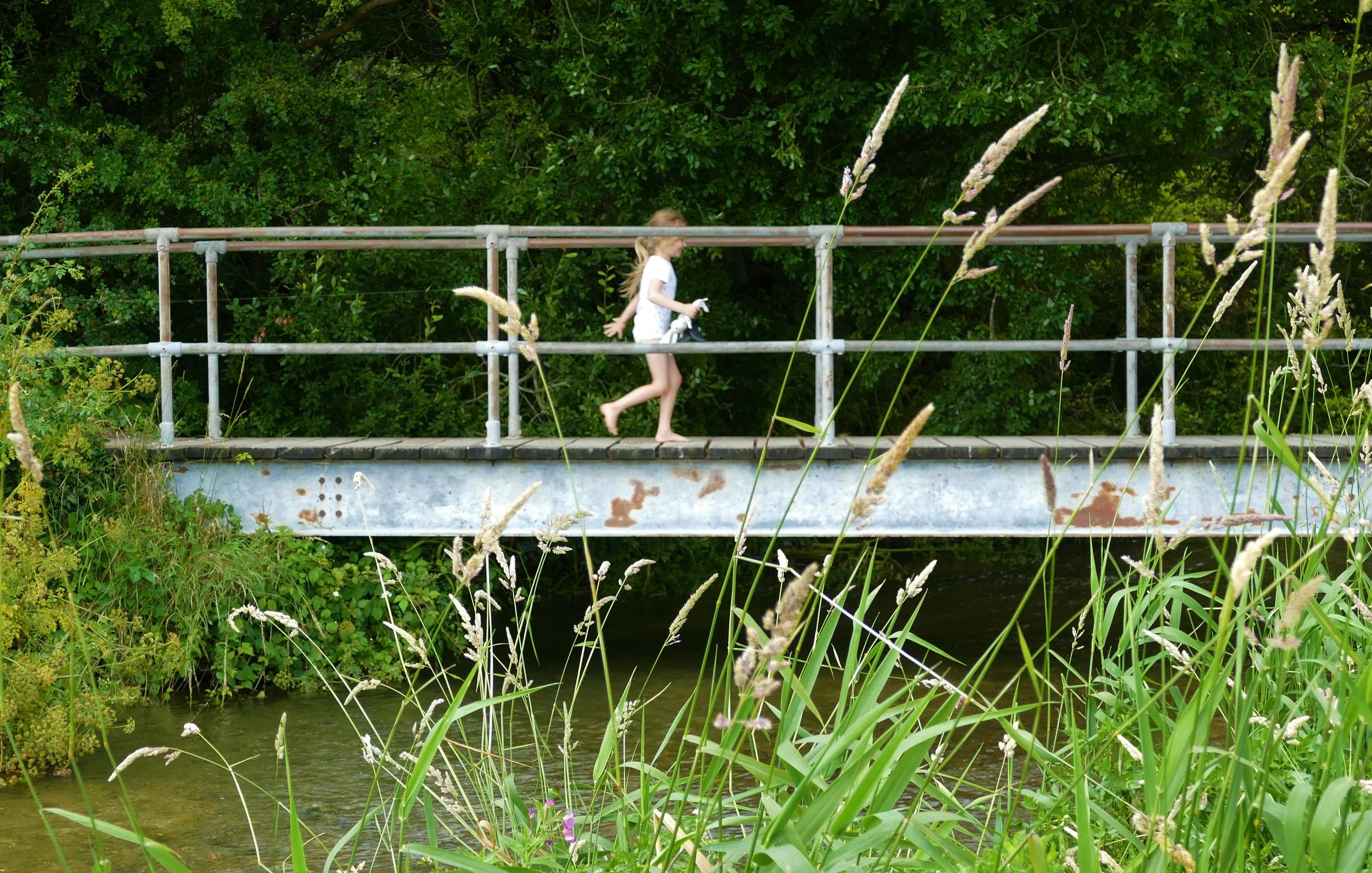 A walk for the whole family from Soberton to the River Meon — The ...