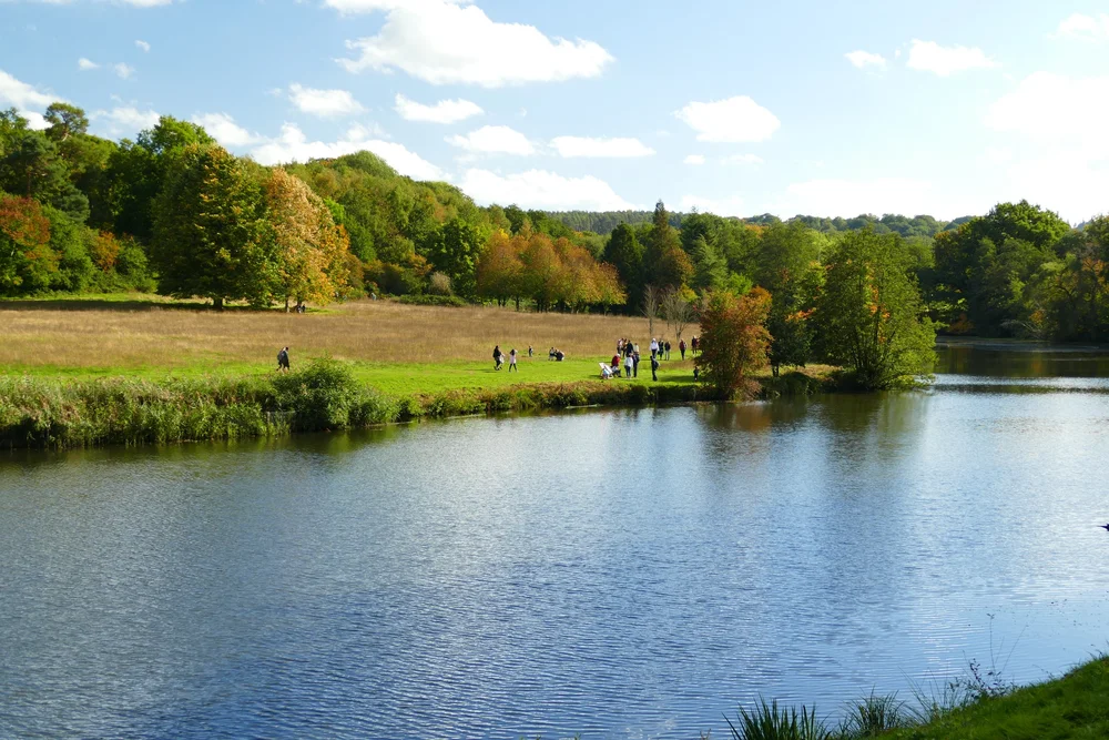 A walk for the whole family at Winkworth Arboretum — The Ambling Path ...